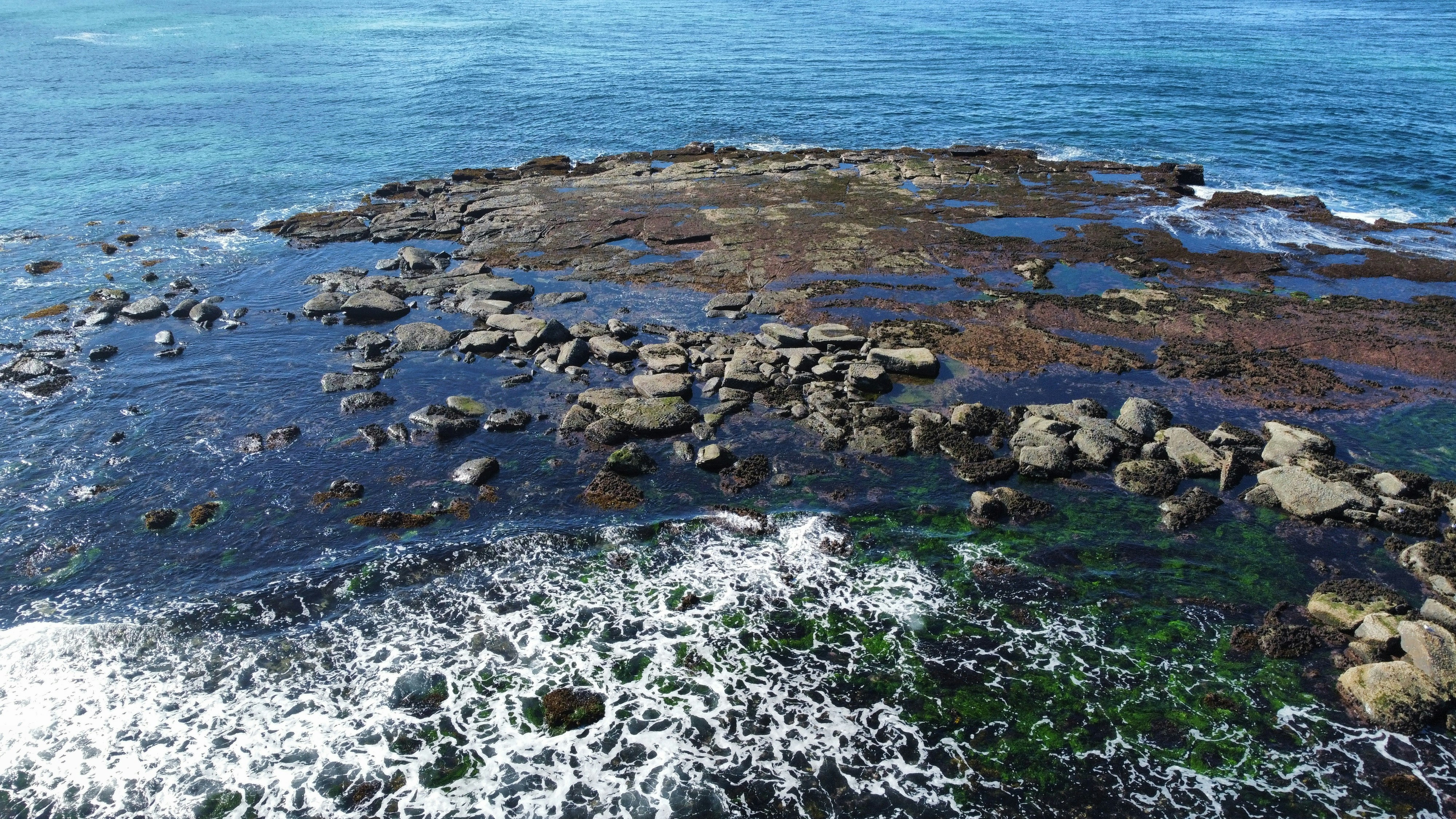 Low Tide Mosaic: Tidal Rocks Meet Turquoise Surf
