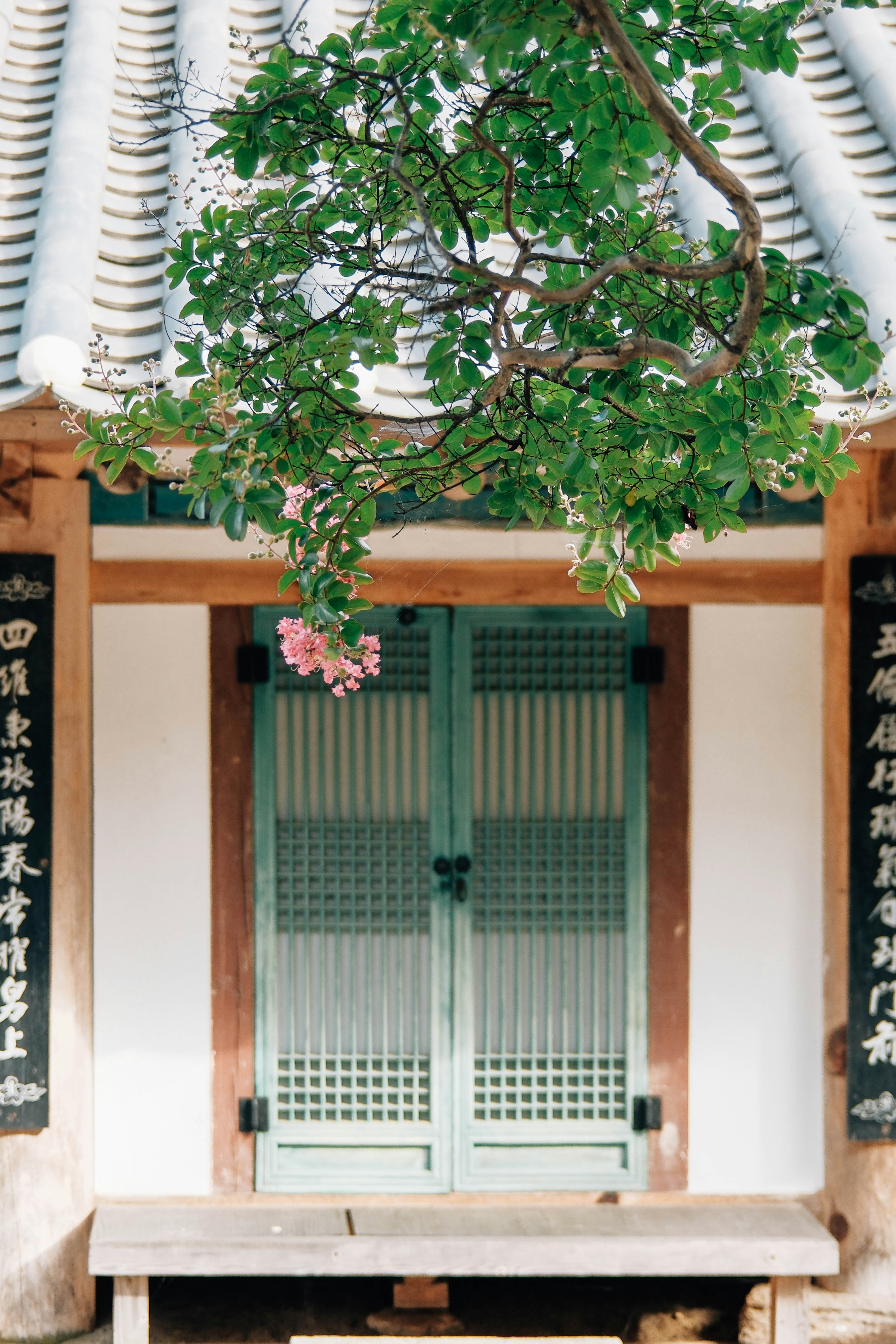 Green Bough Over the Temple Door