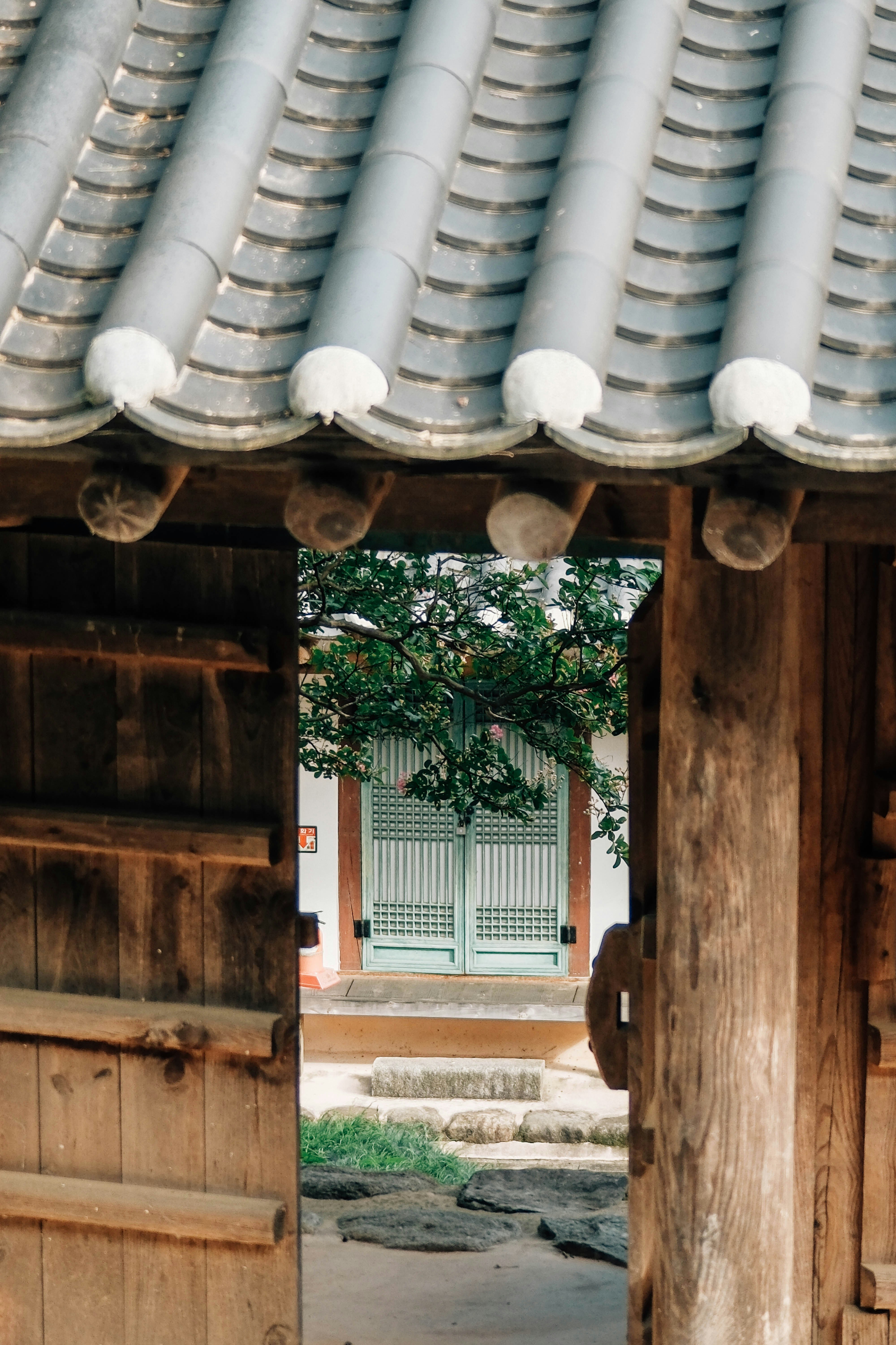Through the Gate: A Quiet doorway Framed by Weathered Wood