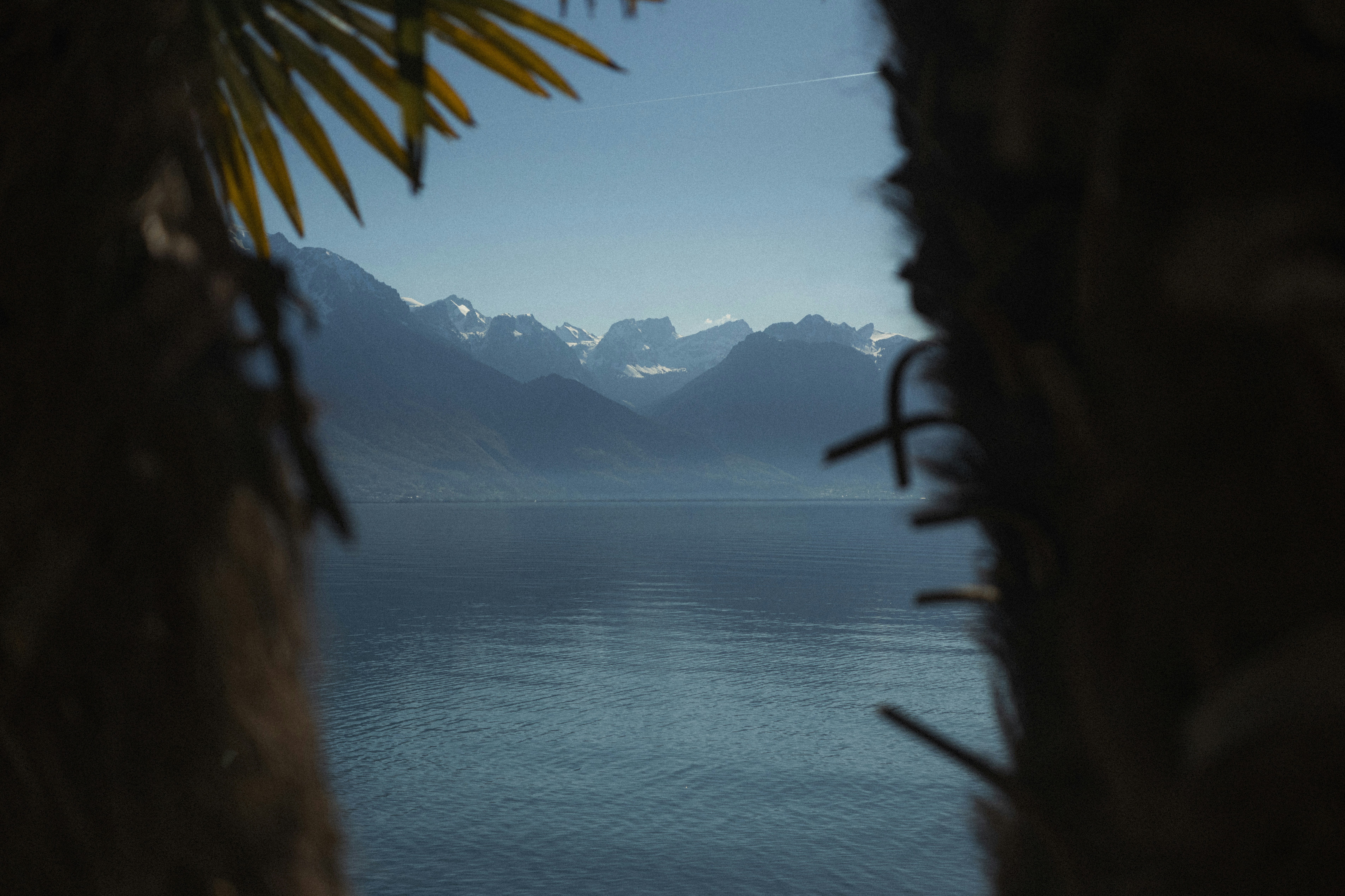 Framed Glacier Range Across a Quiet Fjord