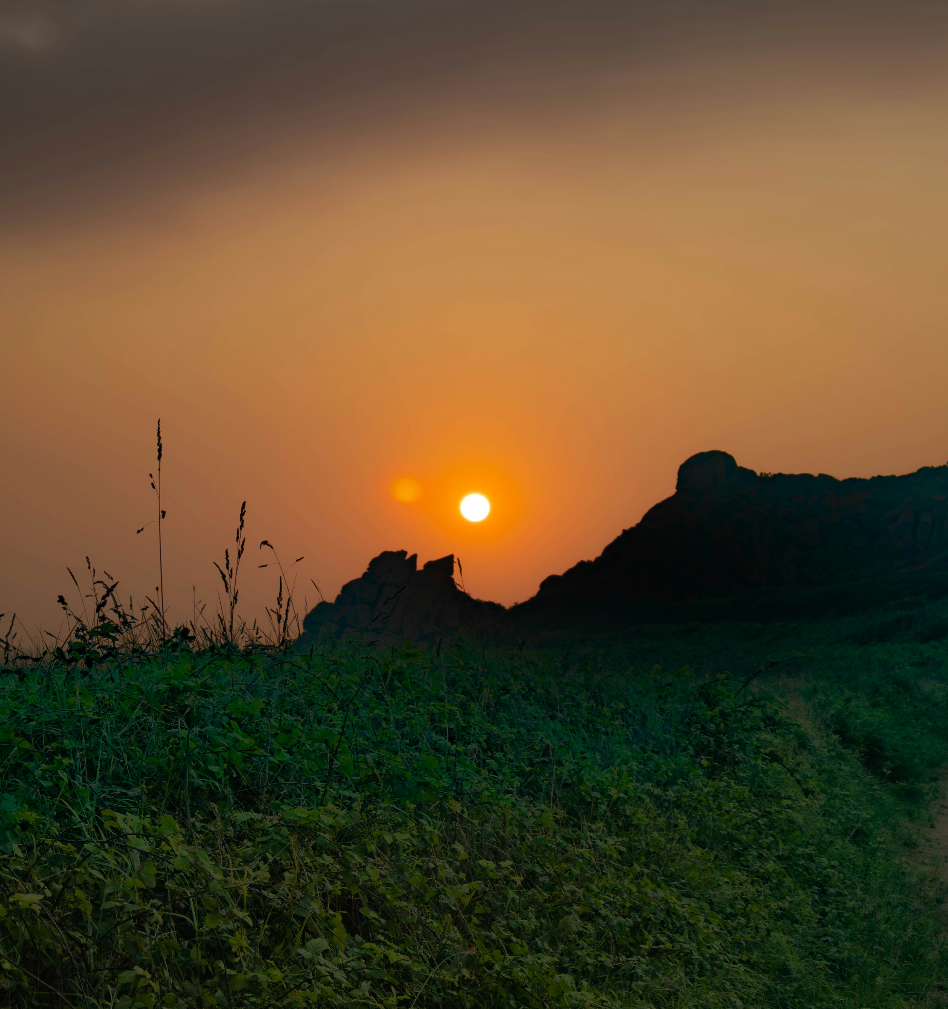 Sunlit Ridge at Dusk Over Wildflower Field