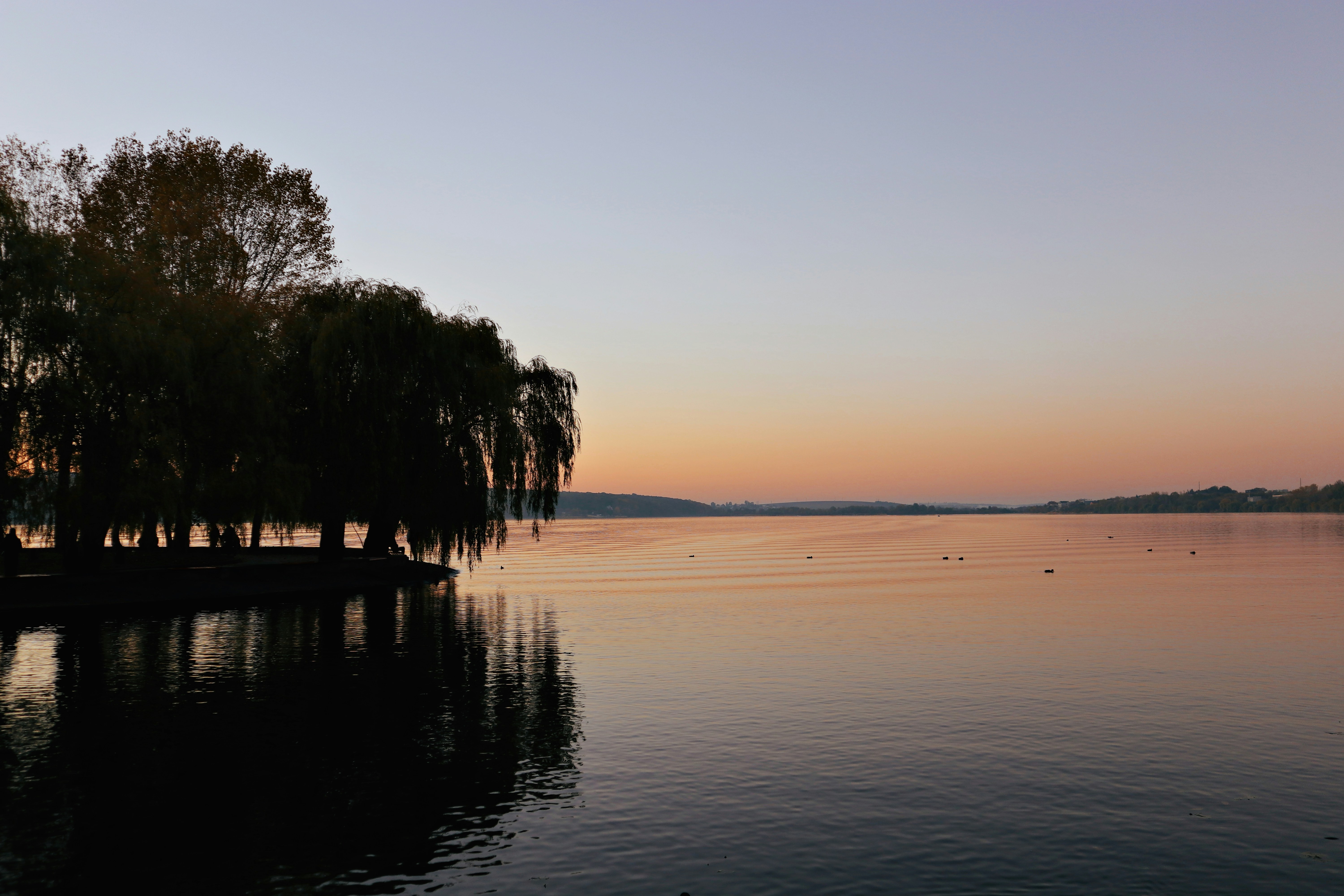 Sundown by the Willow Shore