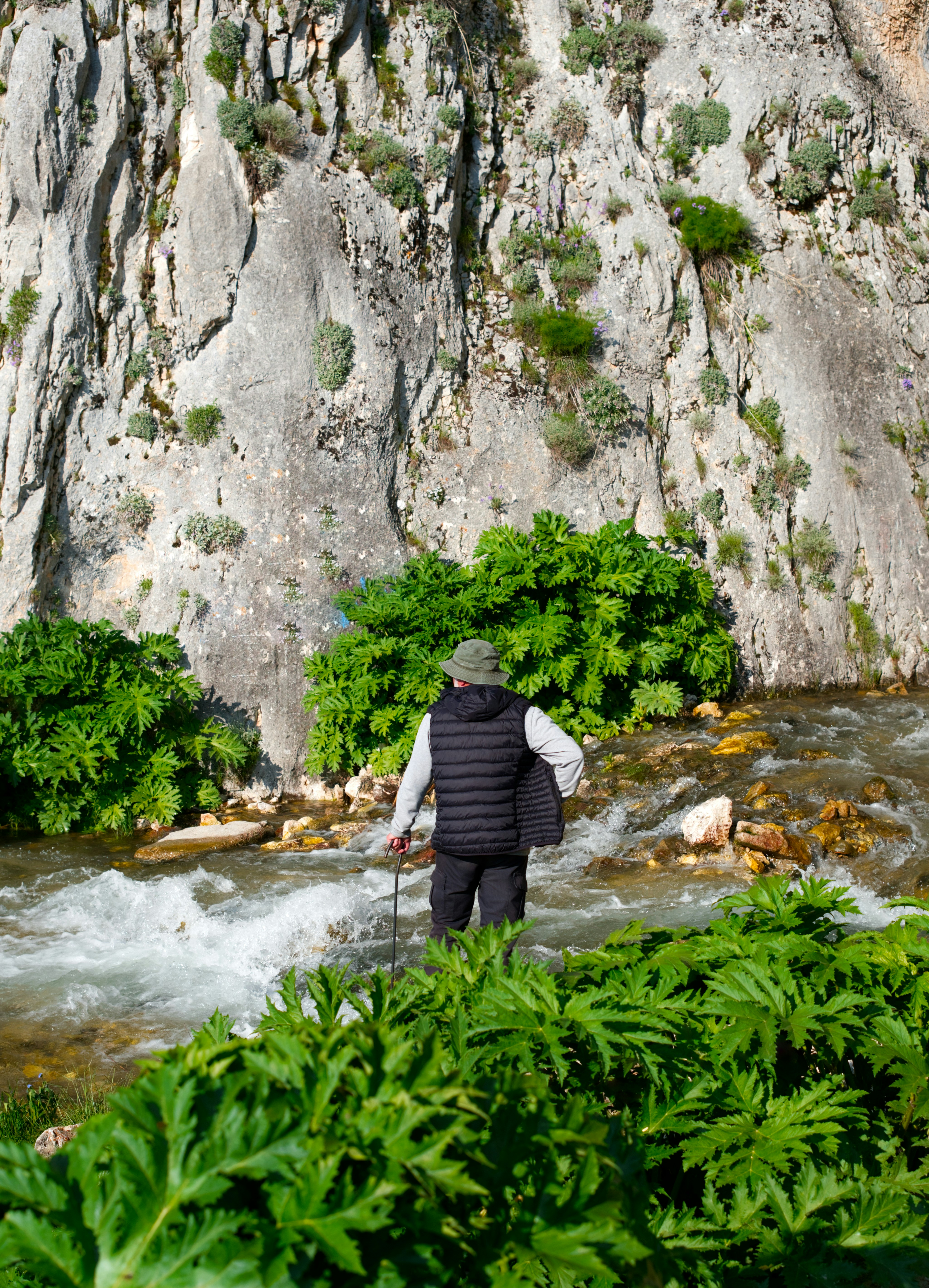The Riverside Wanderer Against a Granite Backdrop