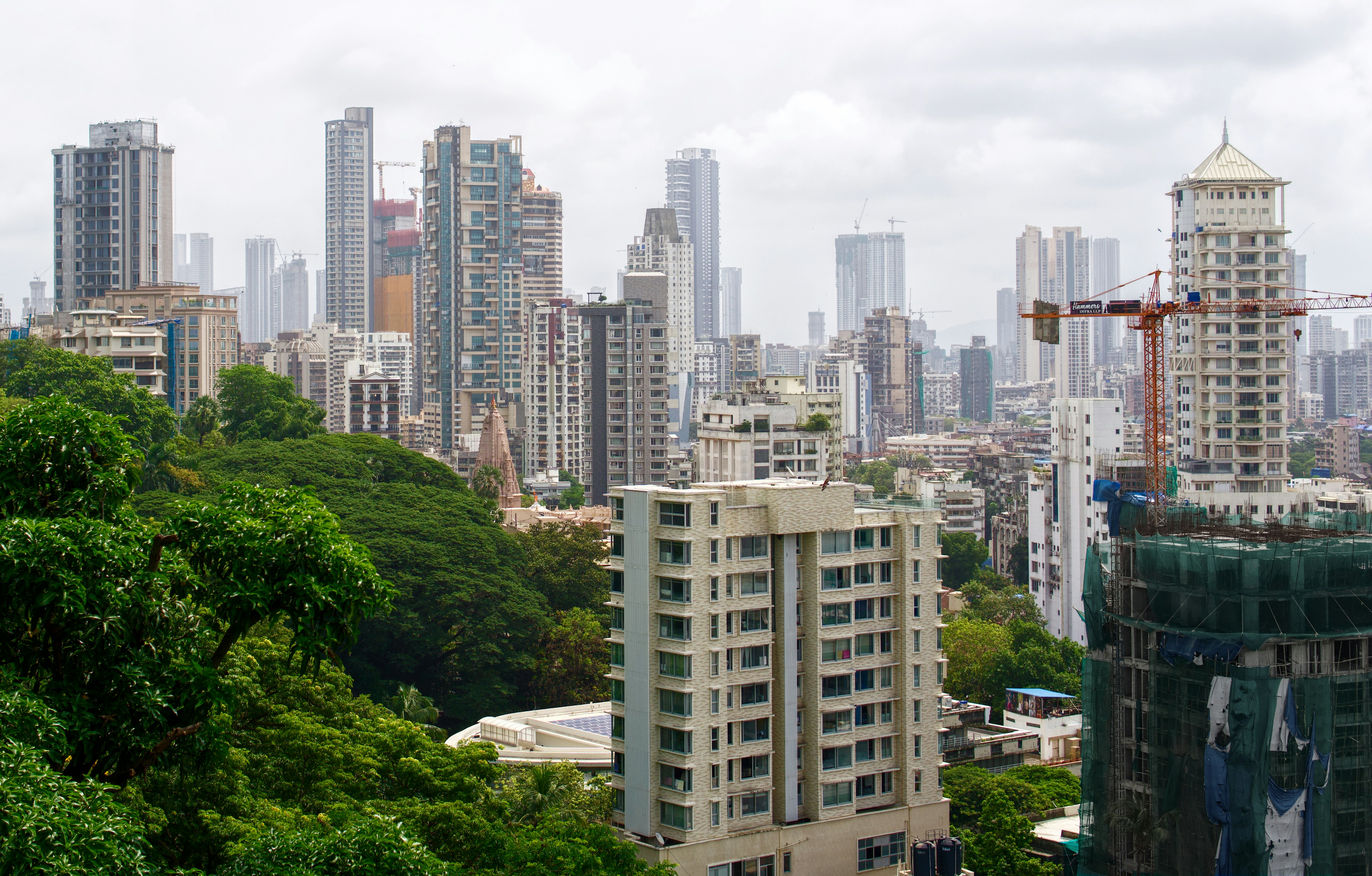 Urban Skyline Emerges from Green Canopy