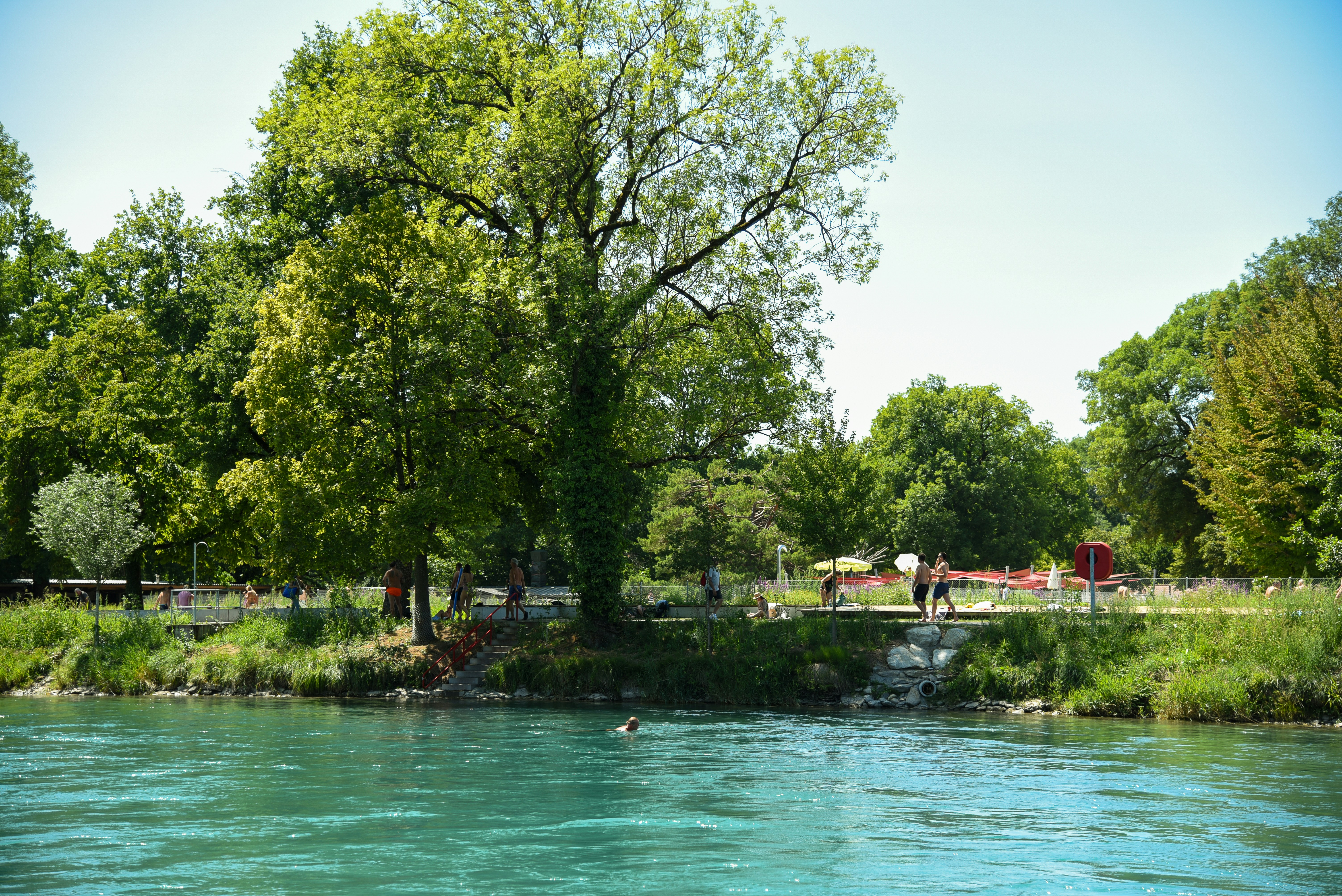 Lakeside Playground: Dappled Trees and Clear Water by the Riverbank