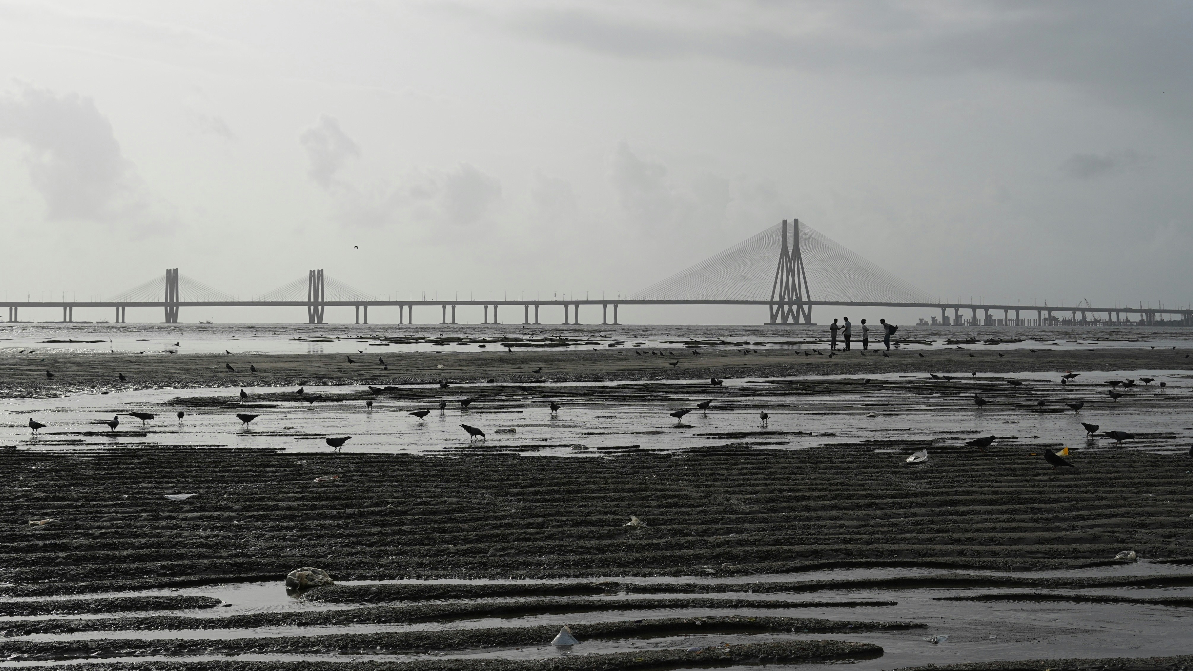 Crisp, grayscale shoreline with a distant bridge spanning the horizon and small figures near its base, emphasizing scale and tranquility. A low-tide tidal pattern leads the eye toward the structure.