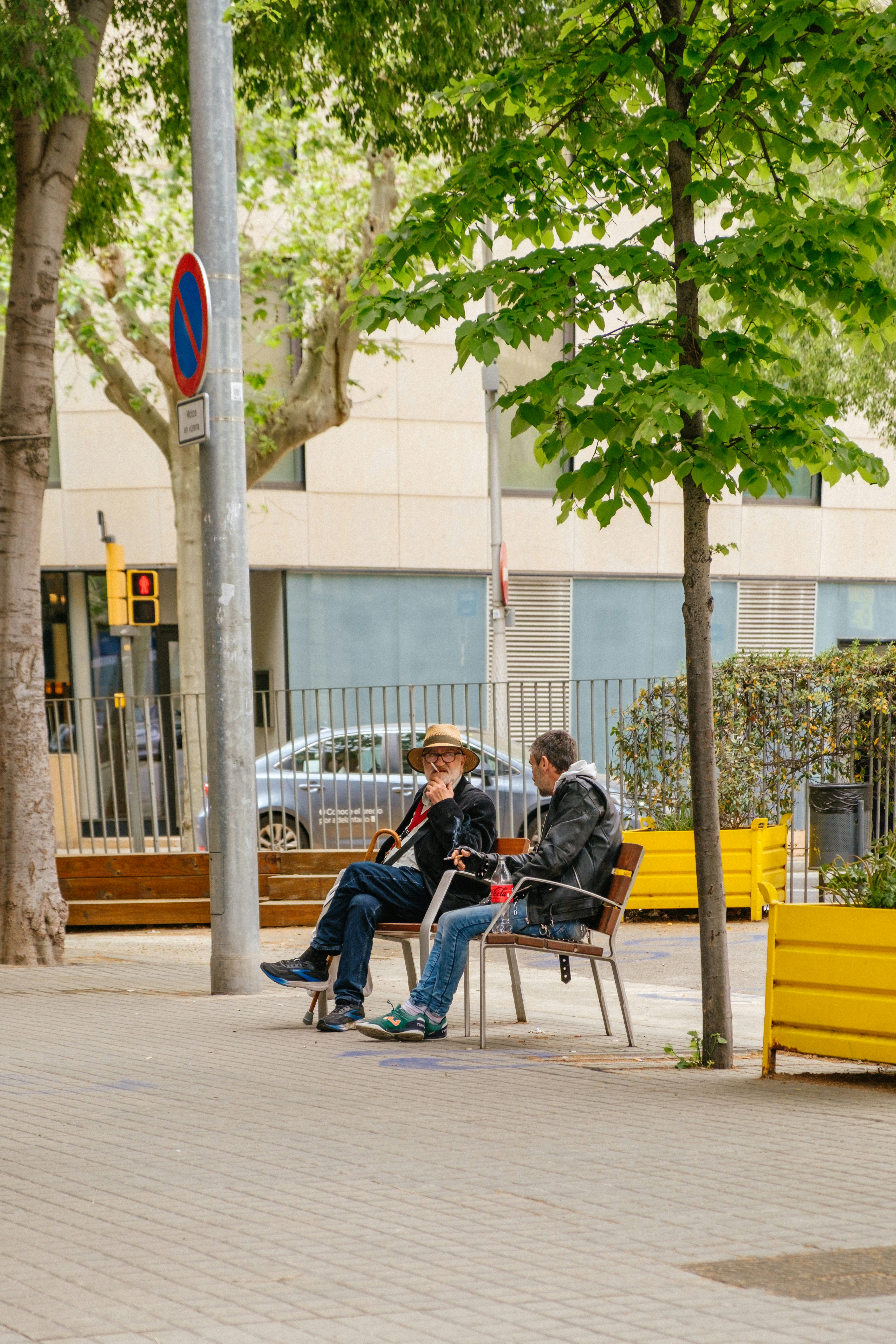 Two Friends on a City Bench Under Green Canopy