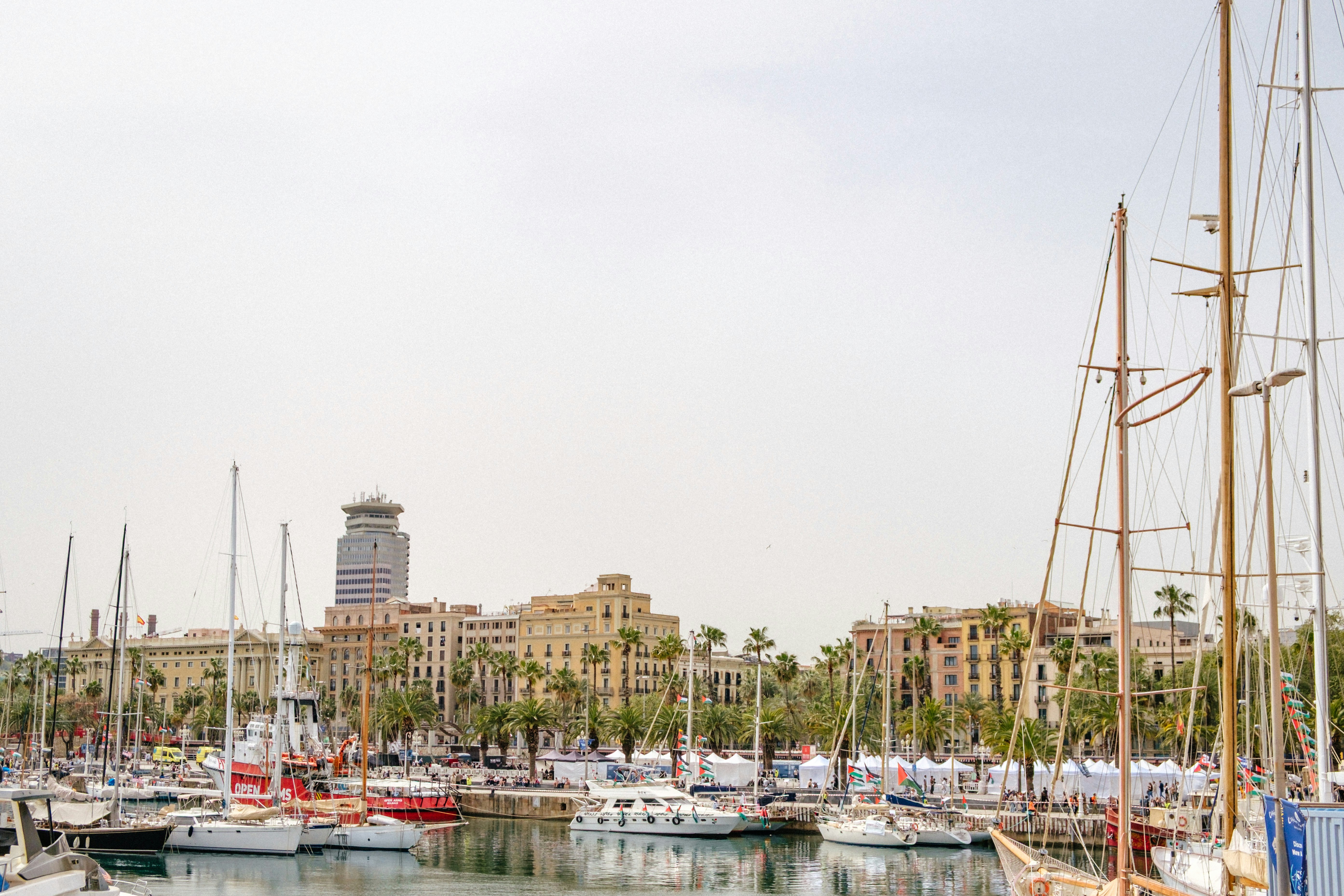 Marina Crescendo: Sails, Skyline, and Palm-lined Waterfront