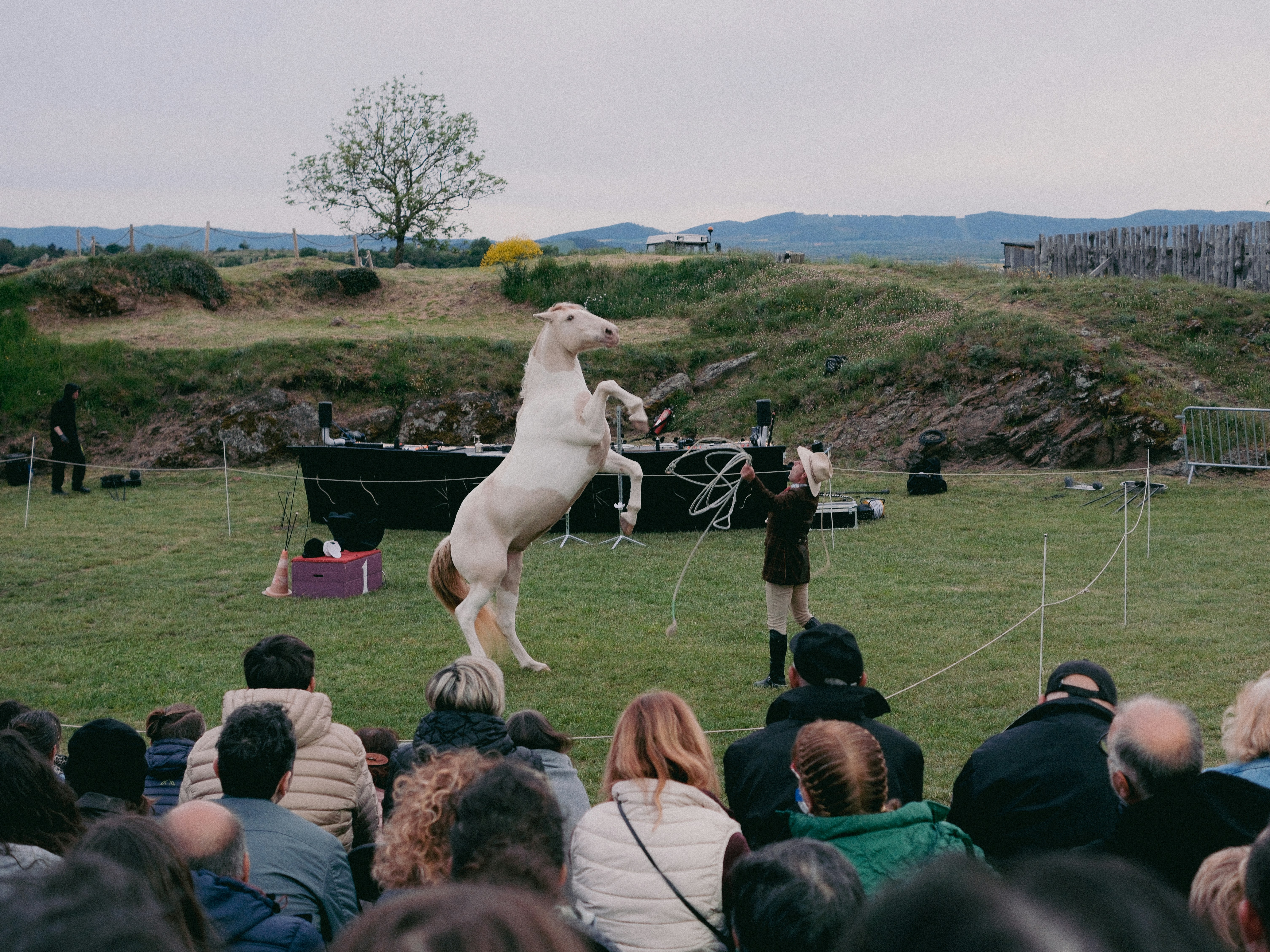 Crestfallen Cavalier: A Horse's Breakout in the Outdoor Arena