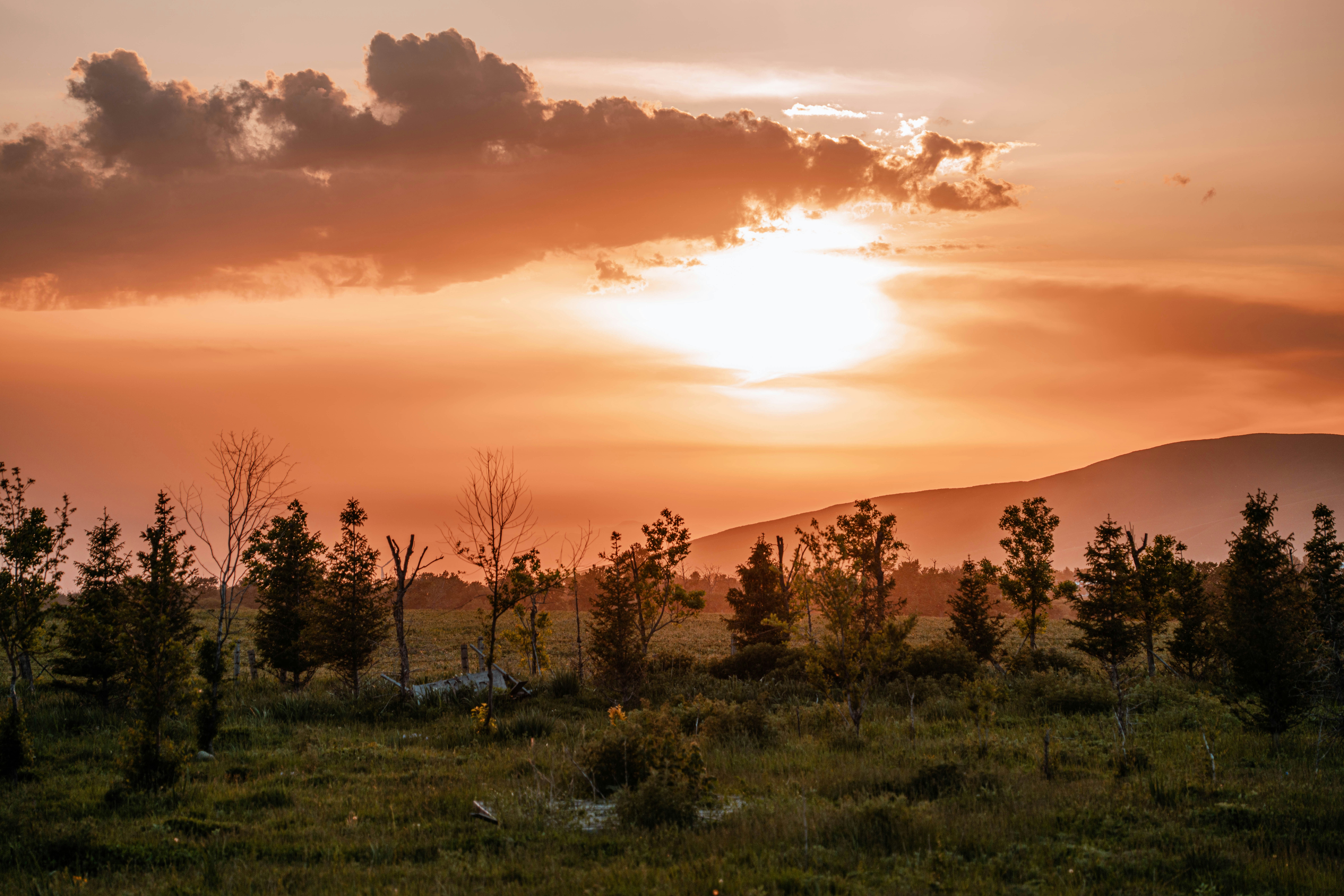 Horizon Glow at Dusk: A Quiet Moorland Bathed in Sunset