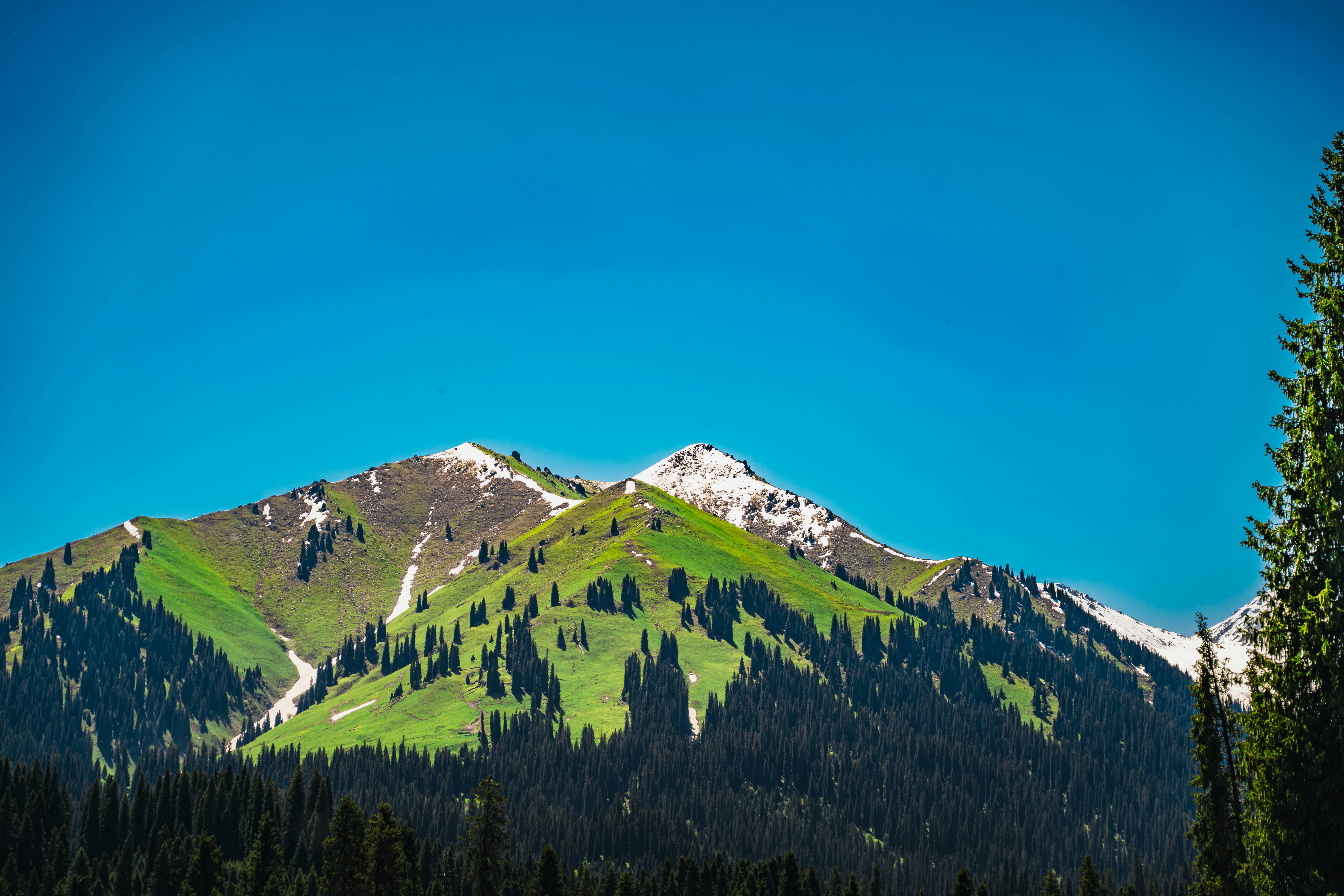 Crested Green Slopes Beneath a Pristine Pacific Blue Sky