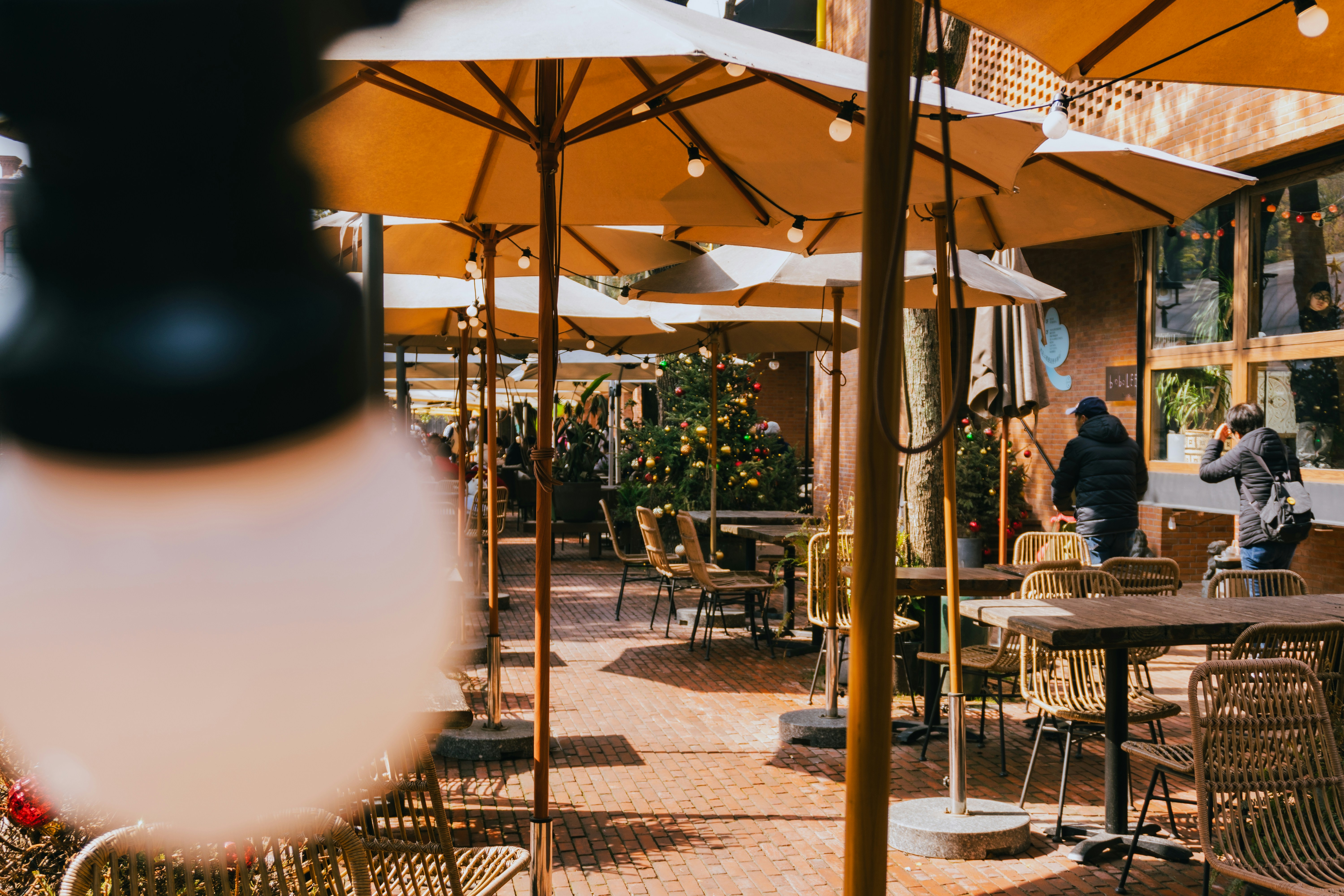 Under the Warm Canopy of a Sunlit Café