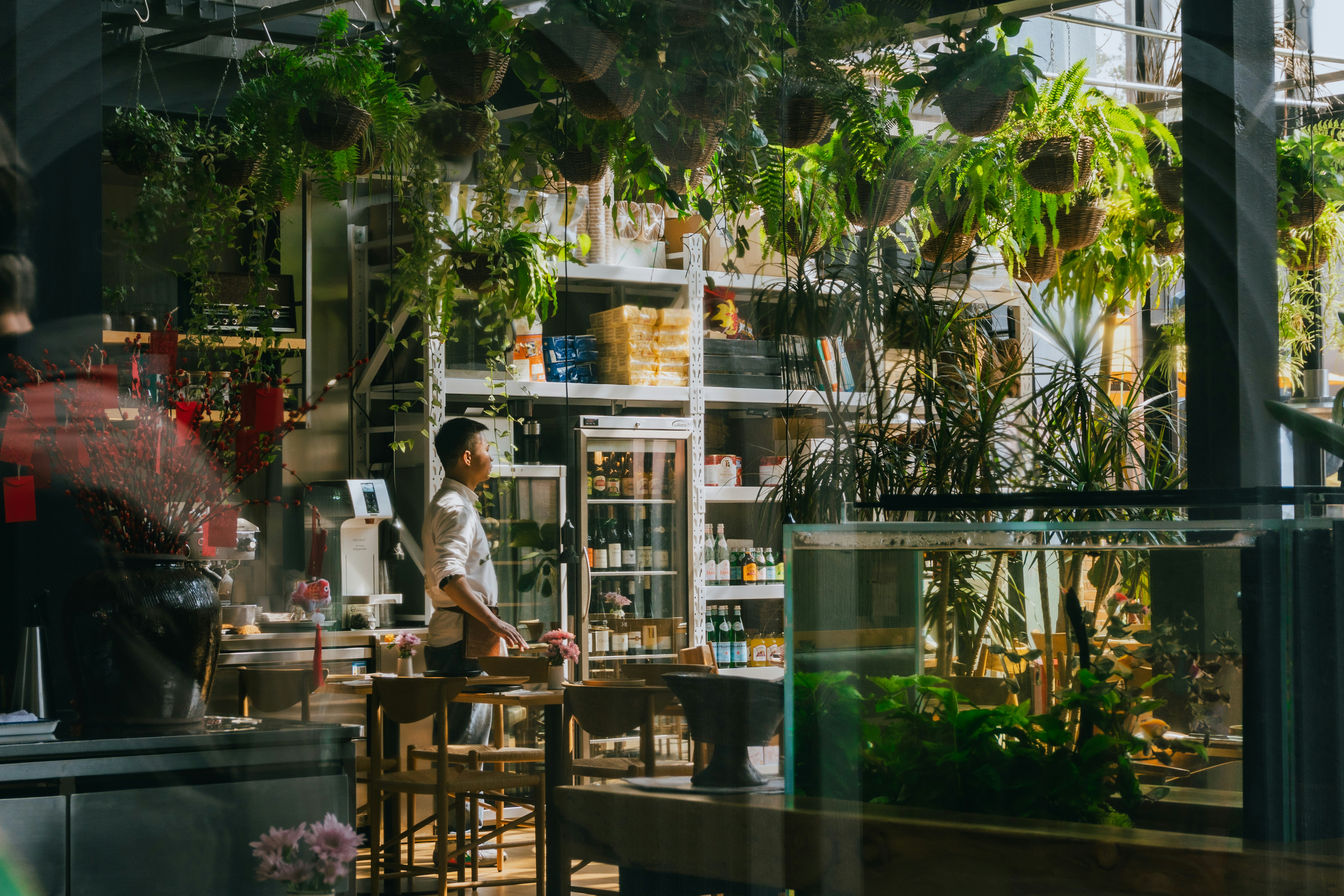 Studio of Greenery: Barista at Work in a Sunlit Café