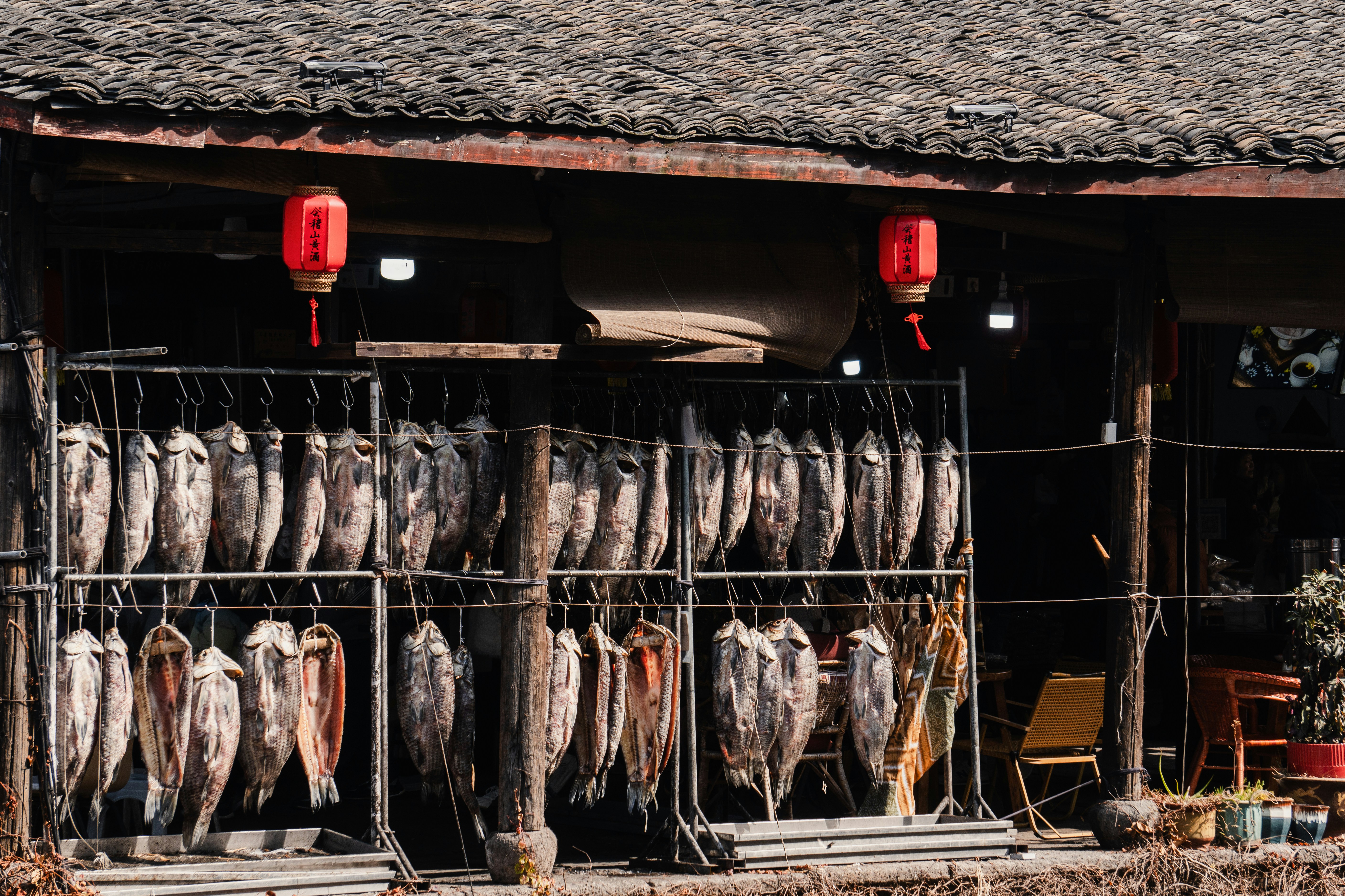 Drying Racks of Cured Fish under Red Lanterns