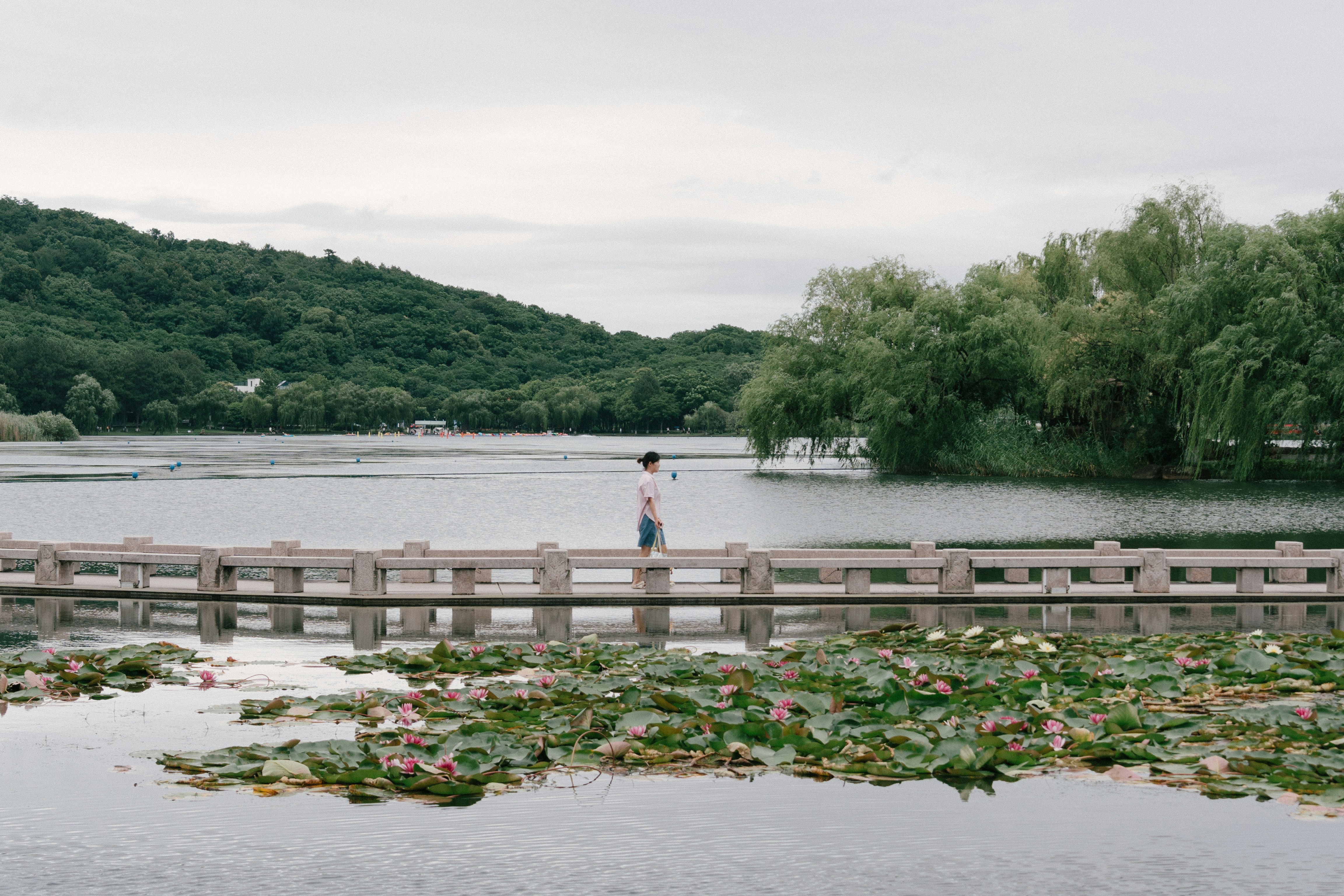 Bridge Walk at the Lily-Threaded Lake