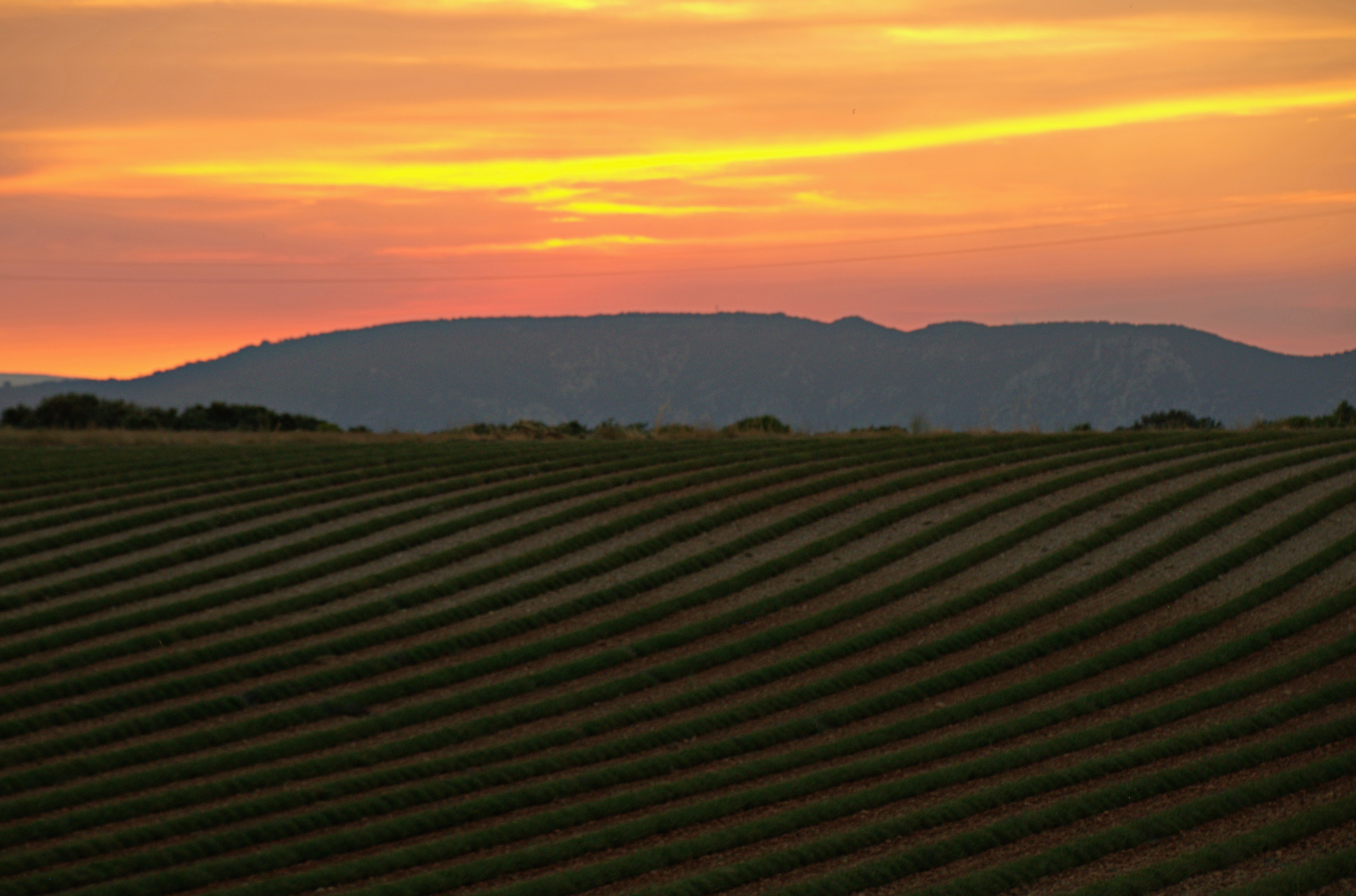 Sunset over Terraced Fields Surging toward a Quiet Ridge