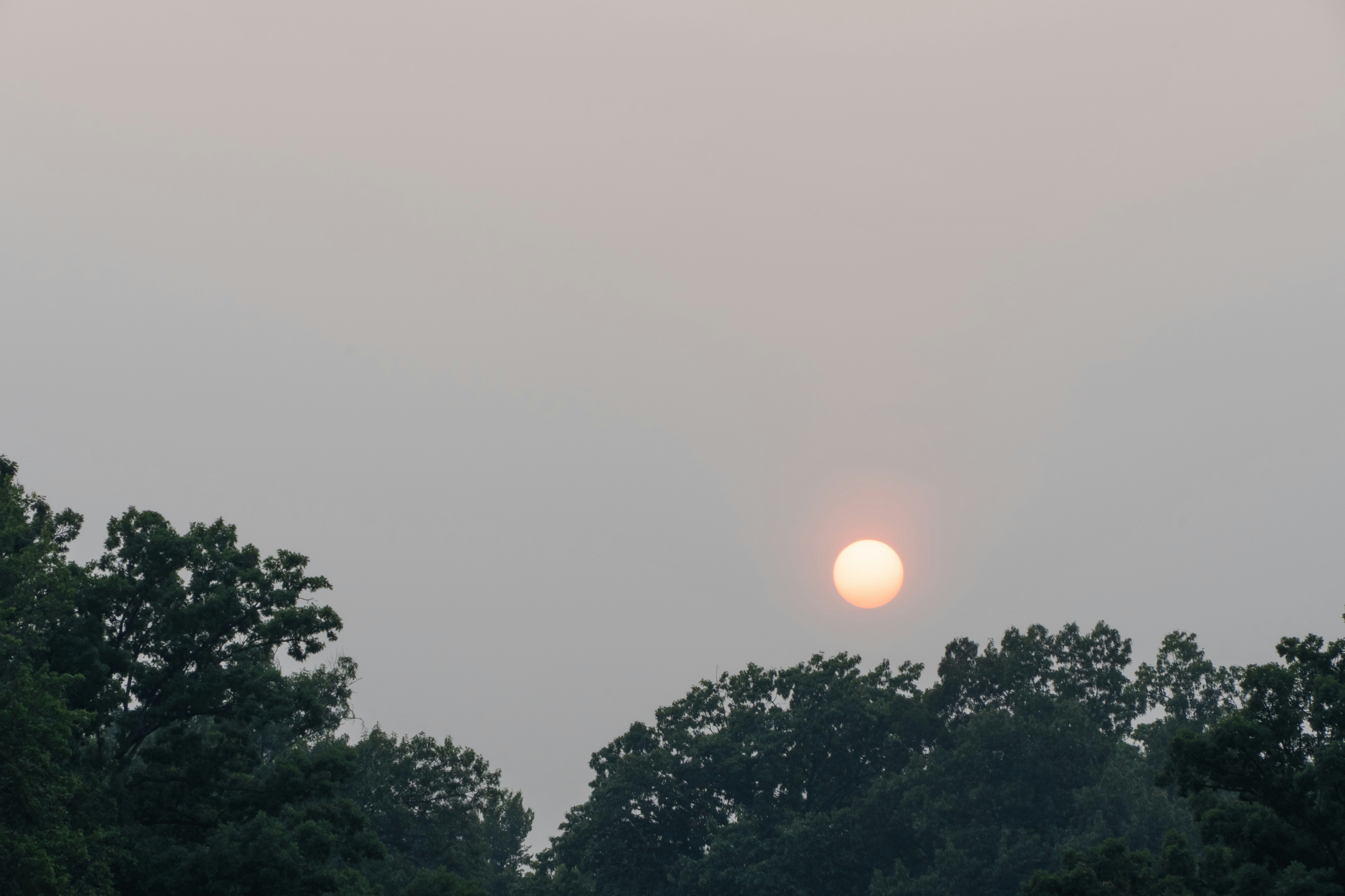 Setting Sun Above a Quiet Forest Ridge