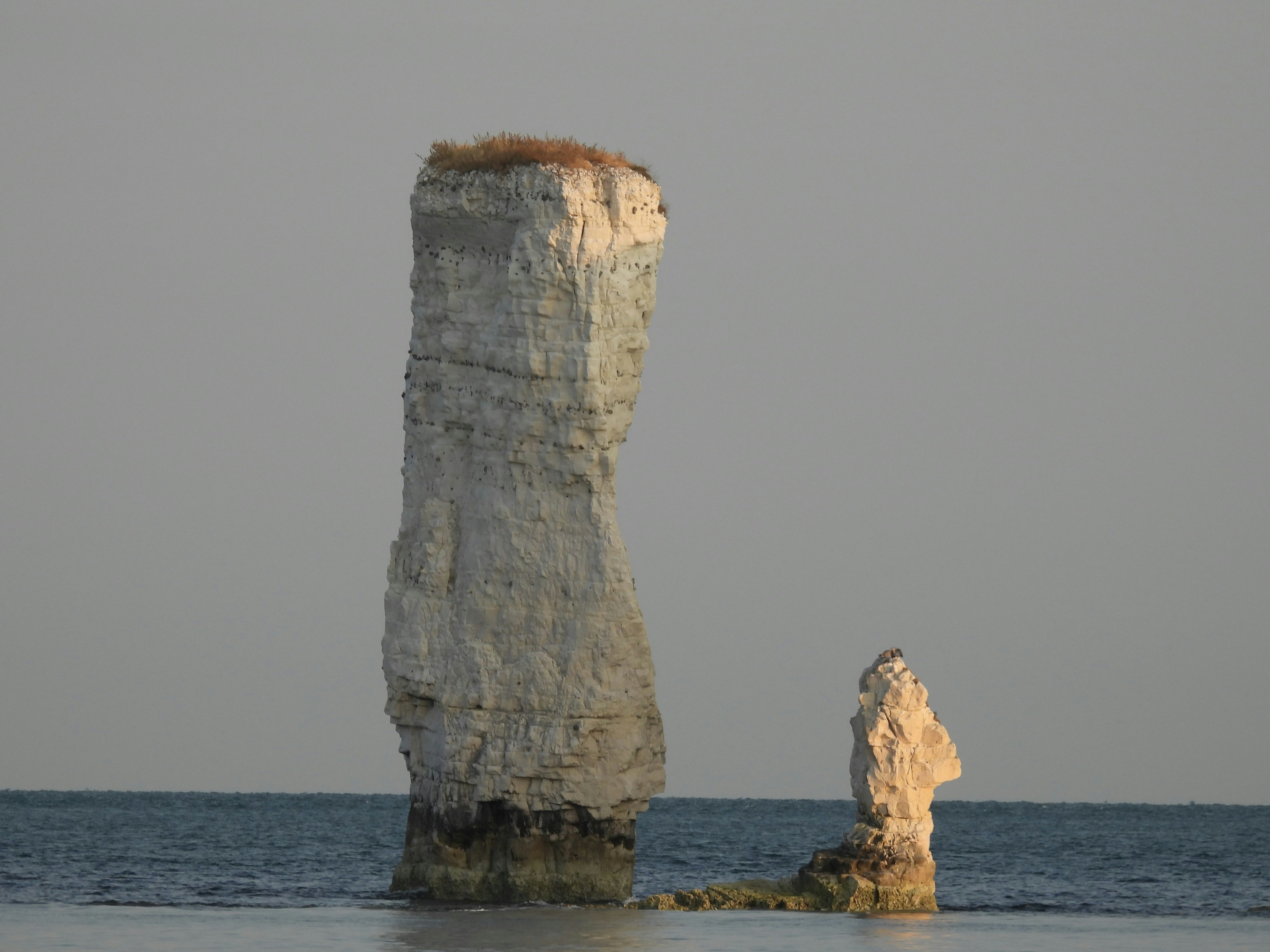 Isolated Sea Stack at Low Tide