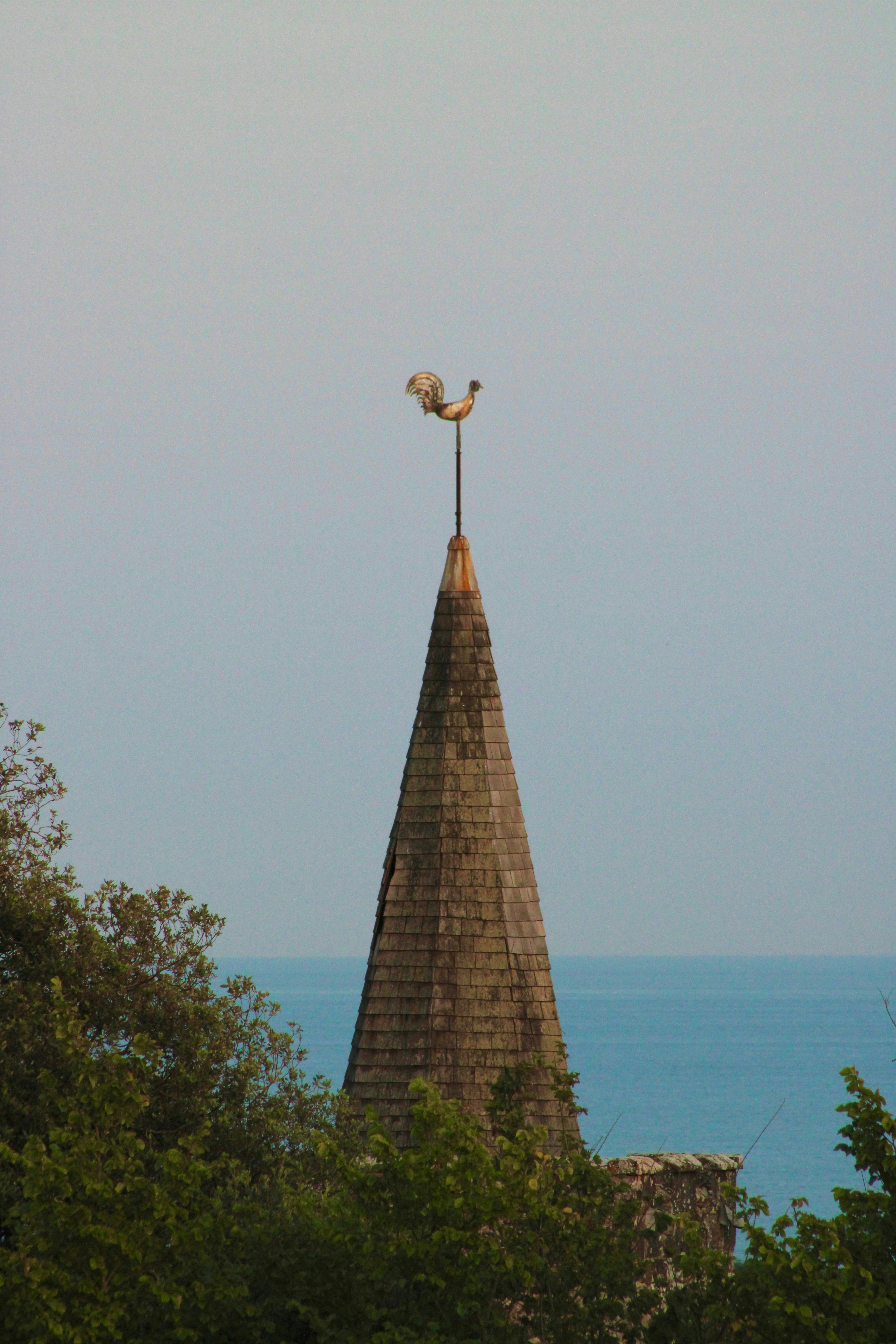 Spiretop Weather Vane: A lone rooster crowning a weathered steeple