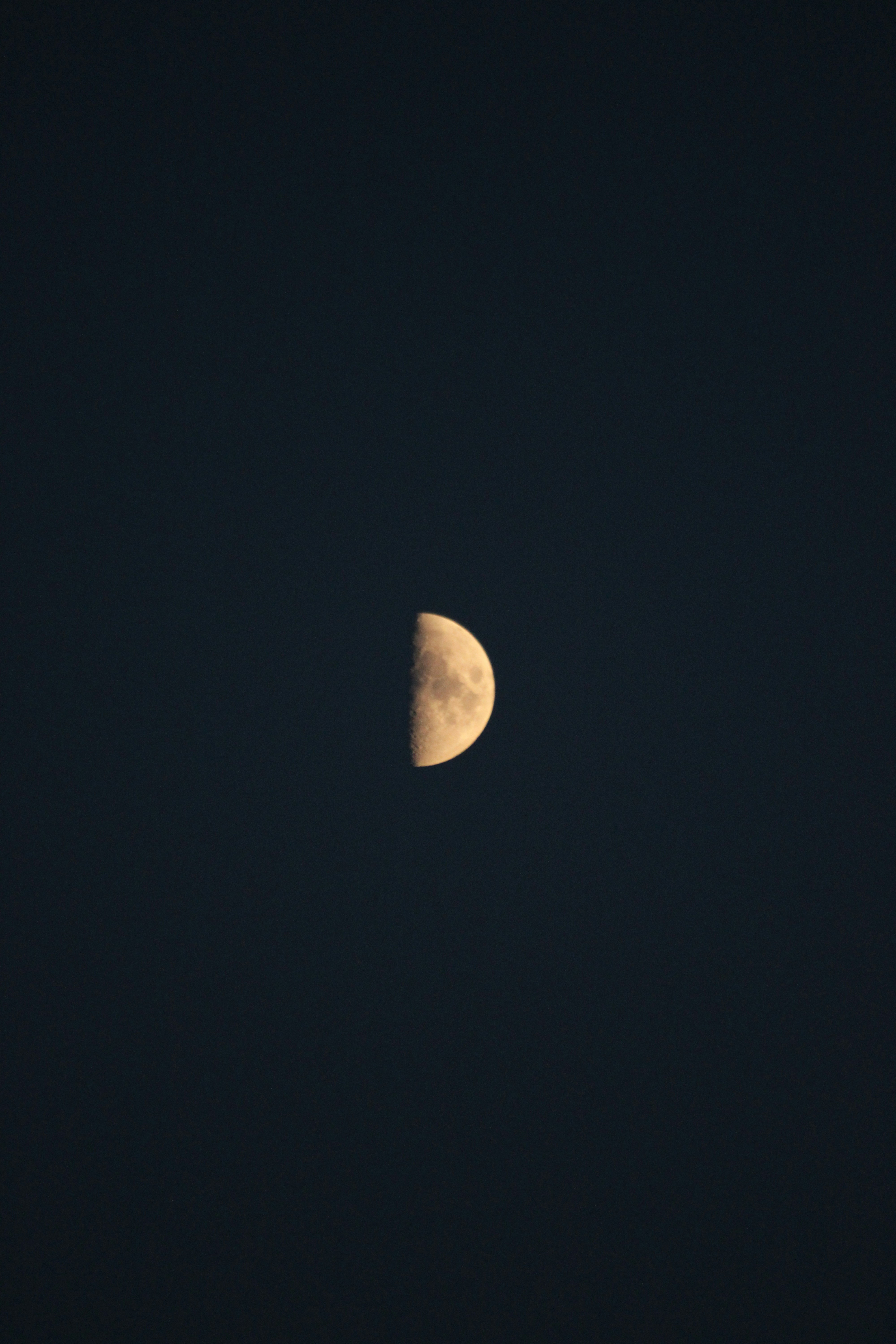 Lone Moon Folded in Night: Half-Illuminated in a Quiet Sky