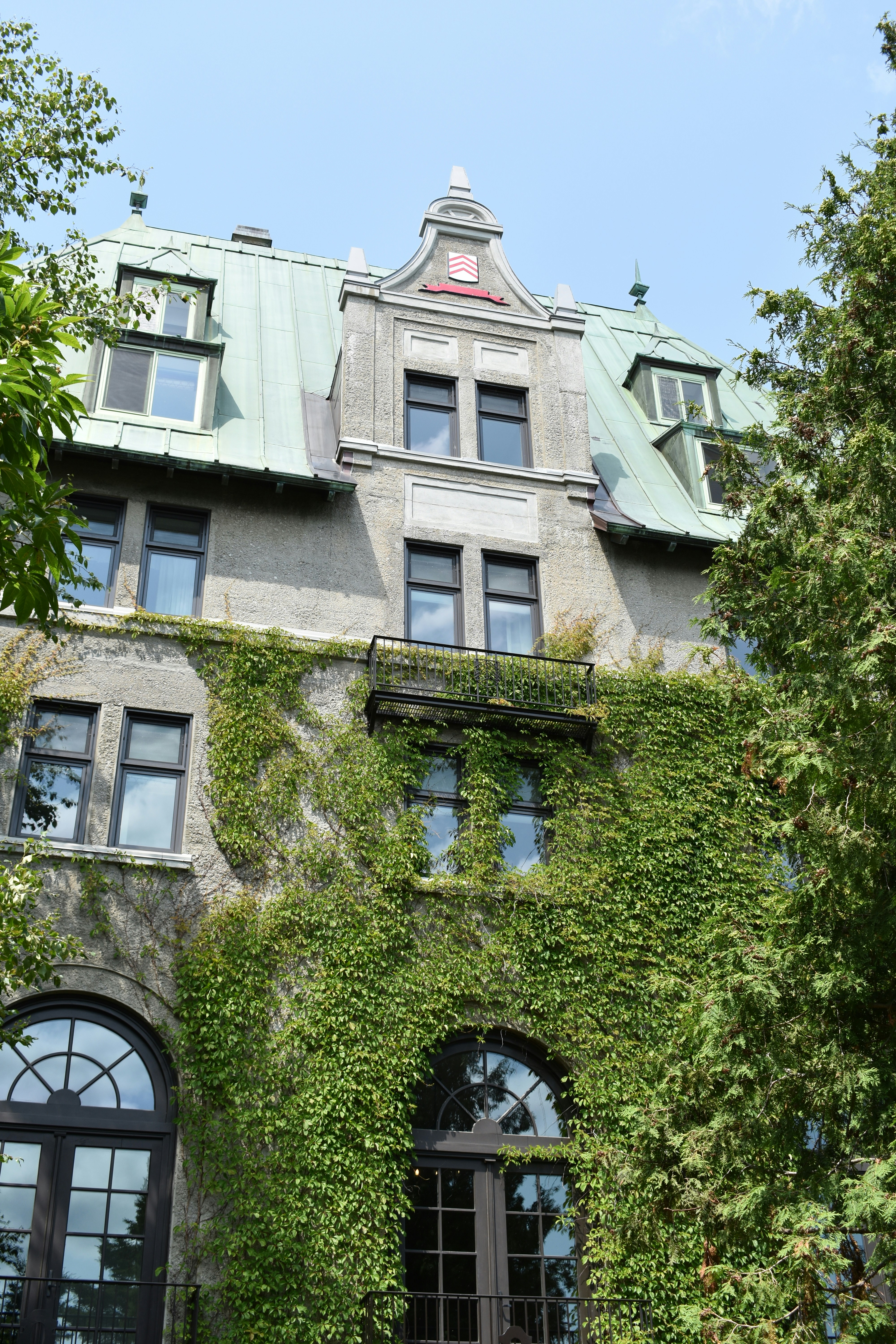 Ivied Facade: A Historic House Cloaked in Green