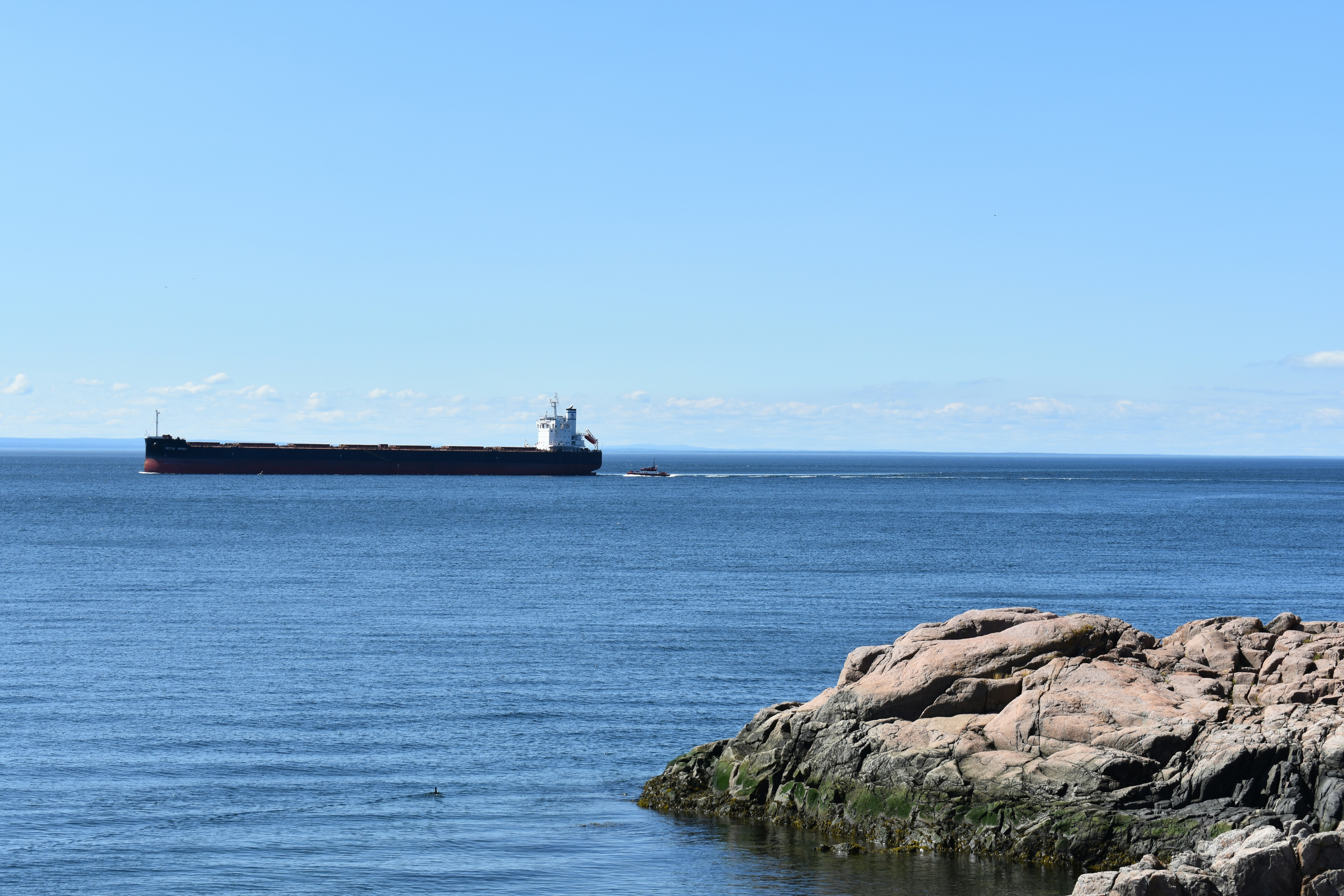 Coastal Horizon: A cargo ship glides past rugged shoreline