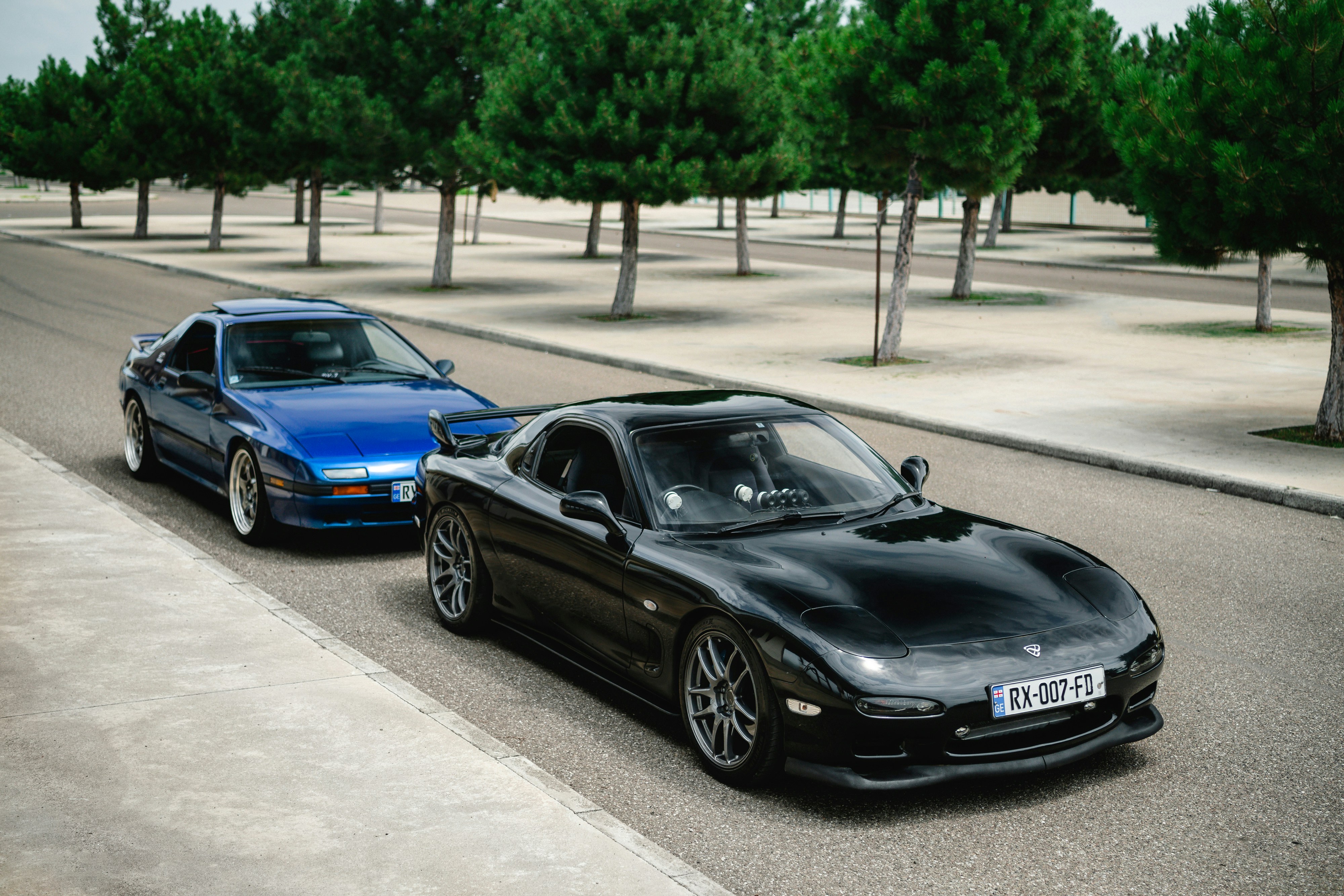 Two Sleek Sports Cars Parked Along a Tree-Lined Avenue