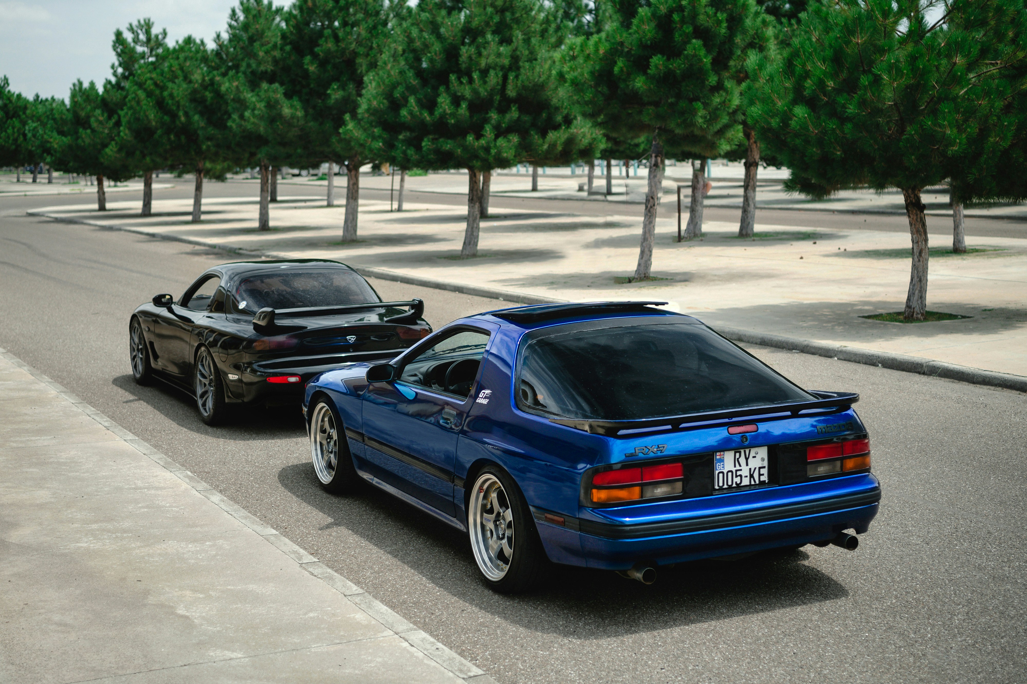 Blue Thunder on the Street: Twin Car silhouettes under Tree-lined Avenue
