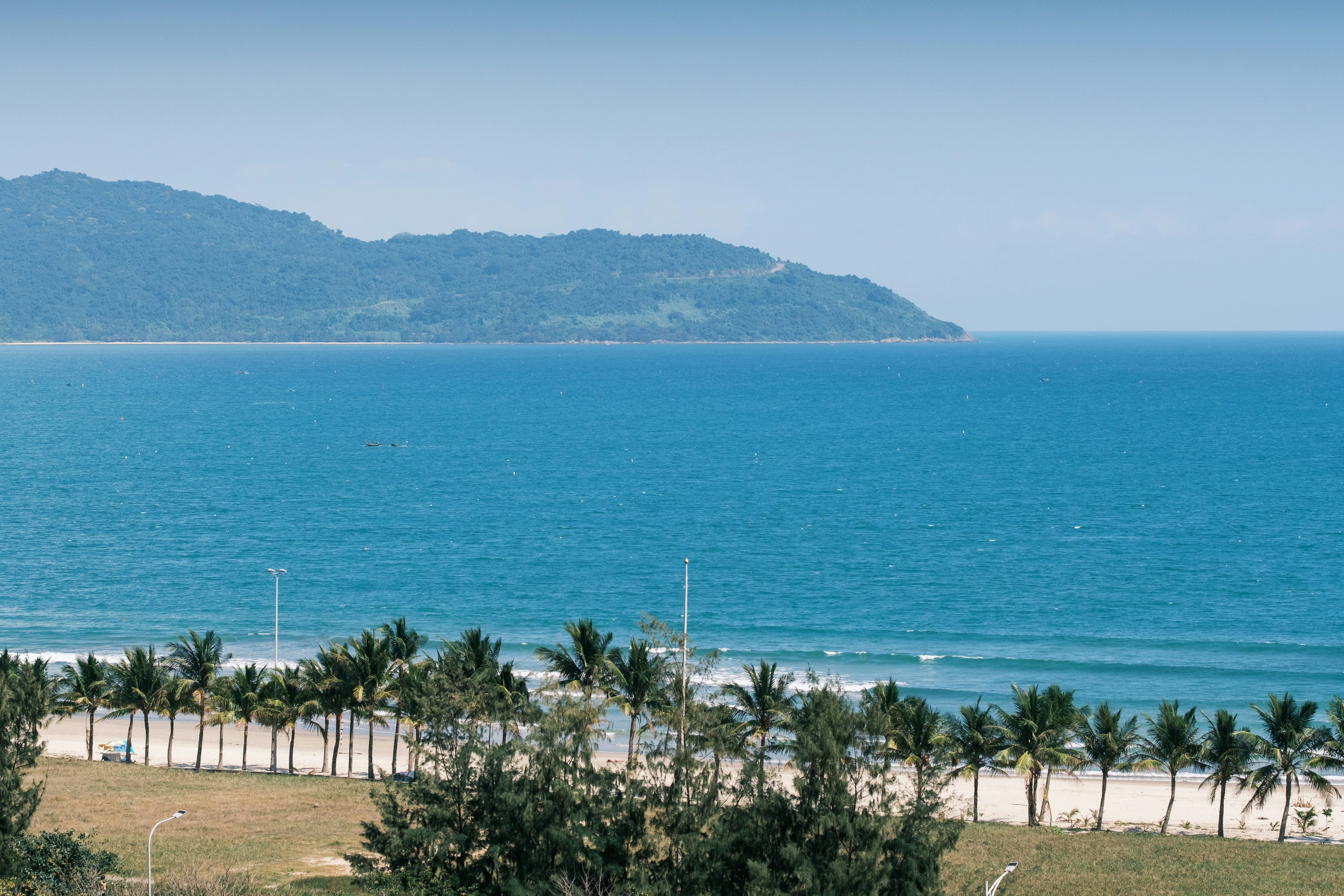 Coastal Horizon: Beachfront palms and distant island curve