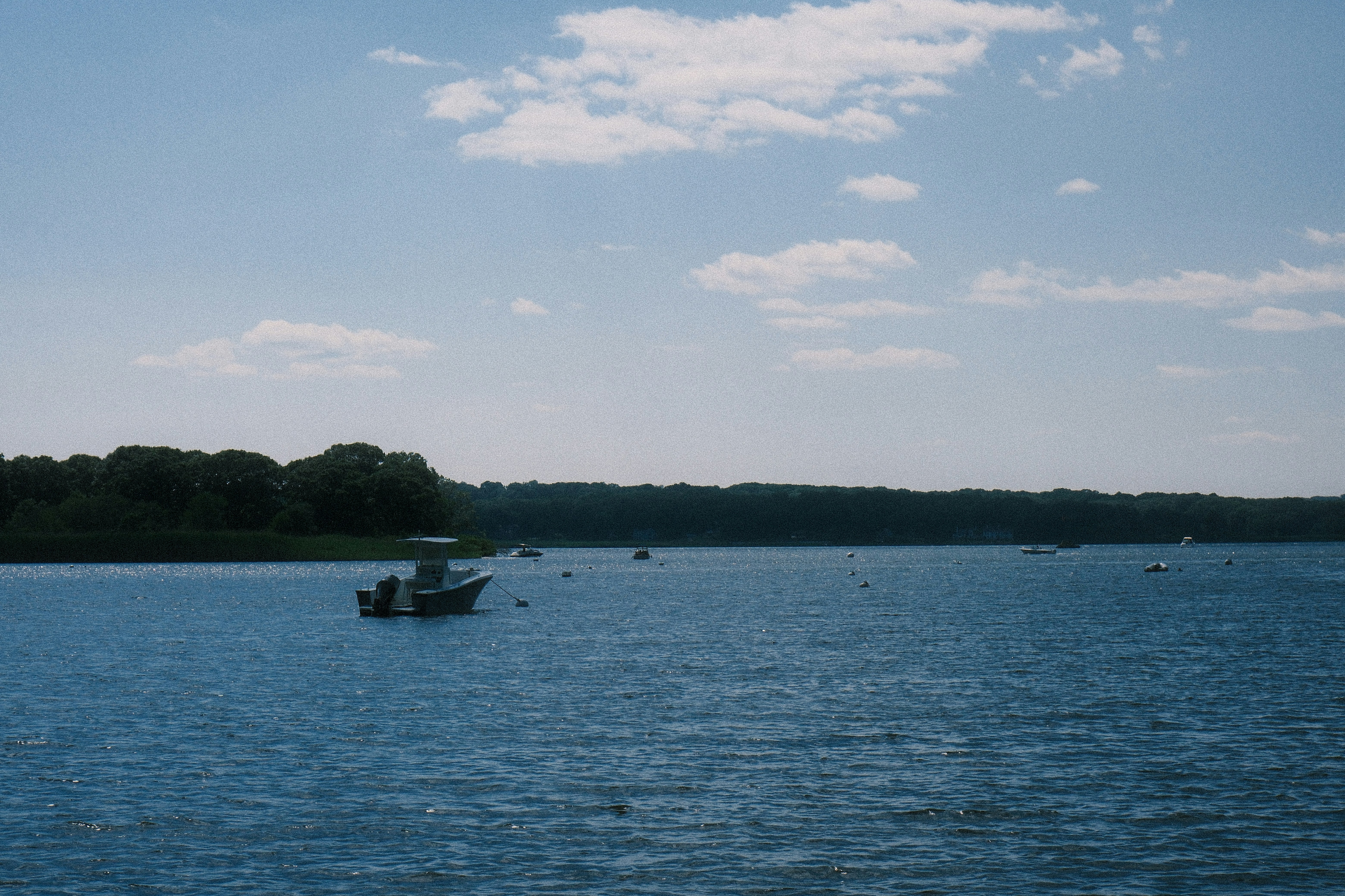 Quiet Lakefront with Distant Boats Under a Clear Sky