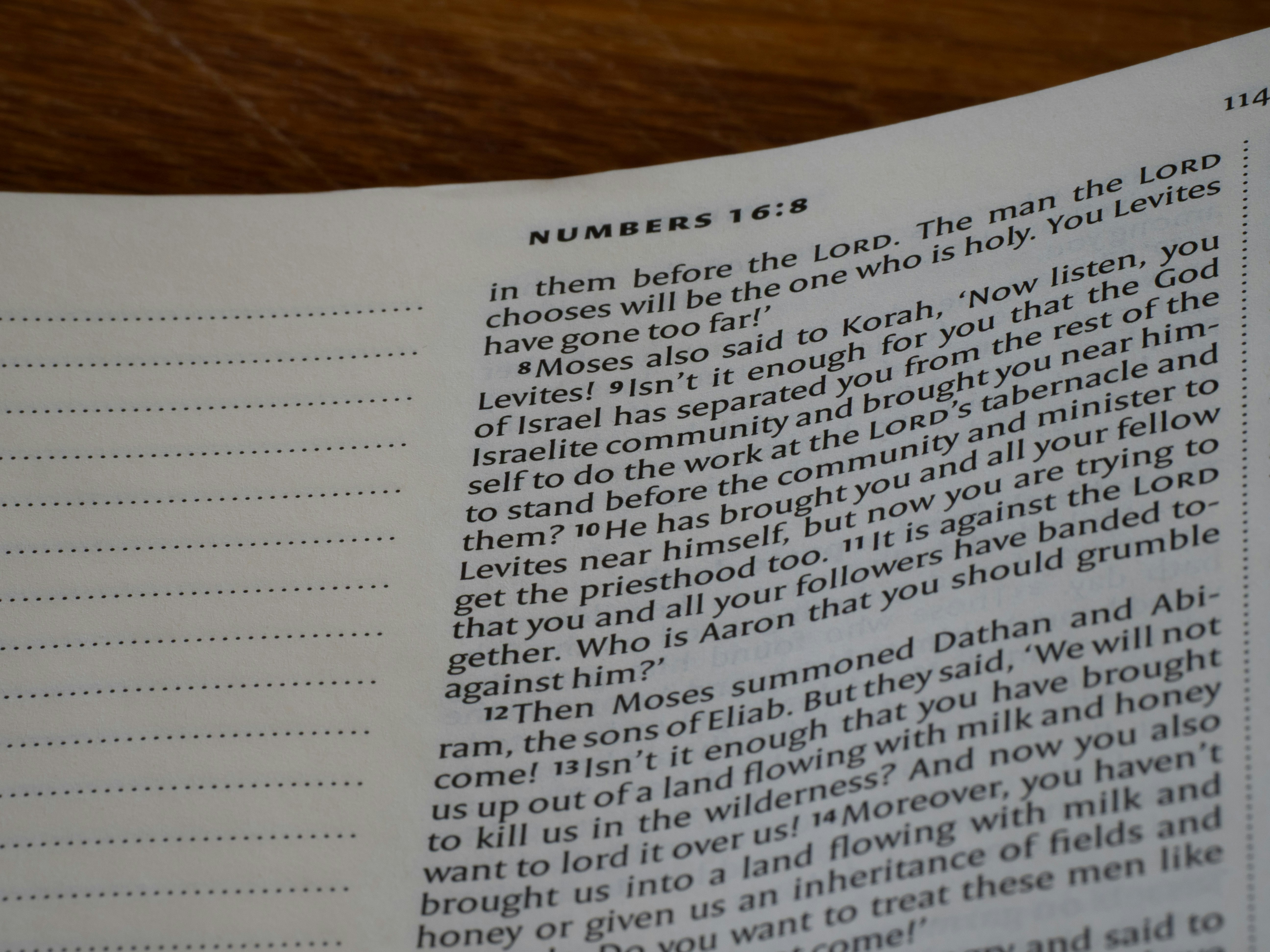 A Quiet Page Turn Beneath Warm Woodlight