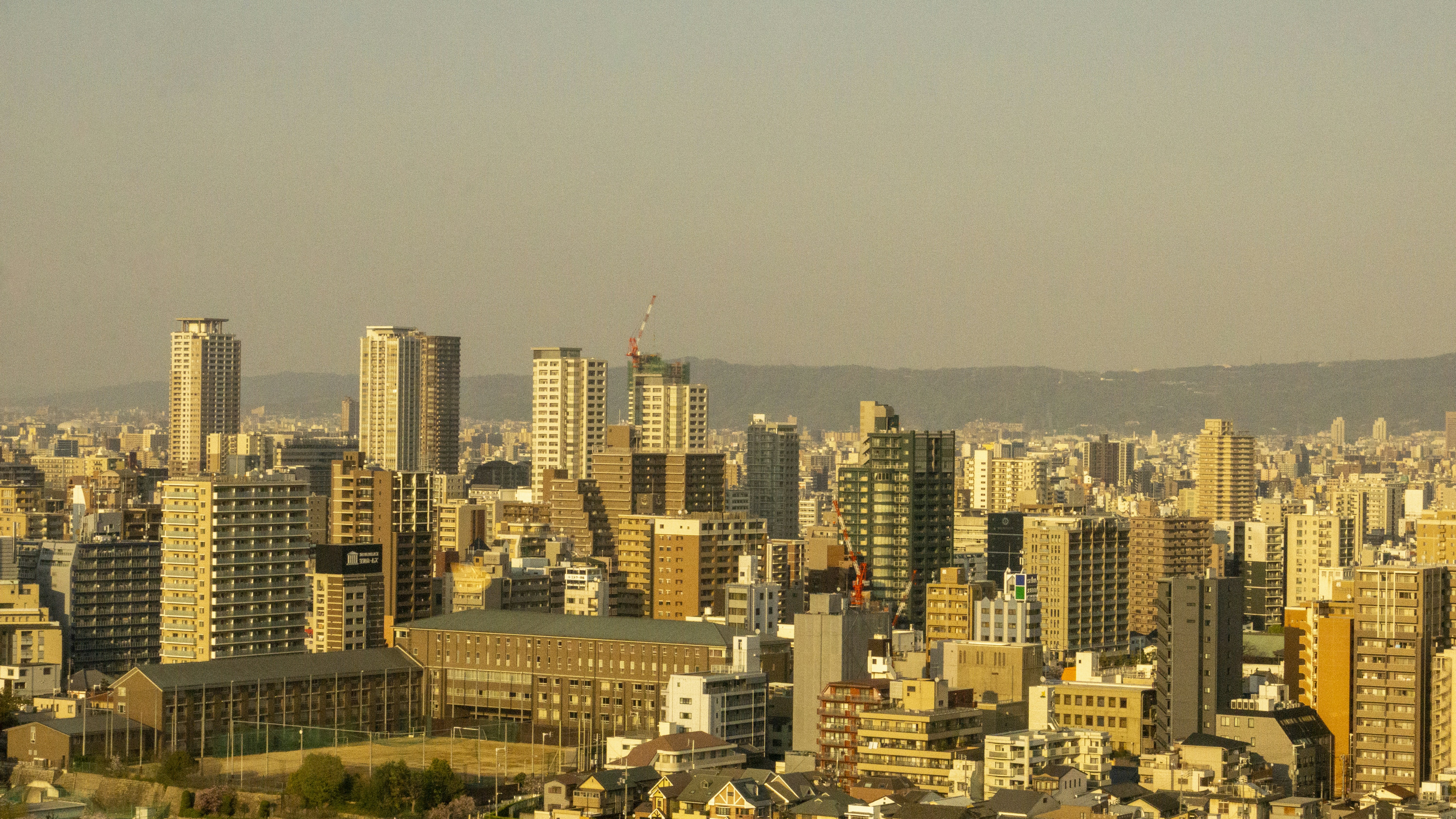 Golden Hour Skyline: A Dense Urban Reef of Towers