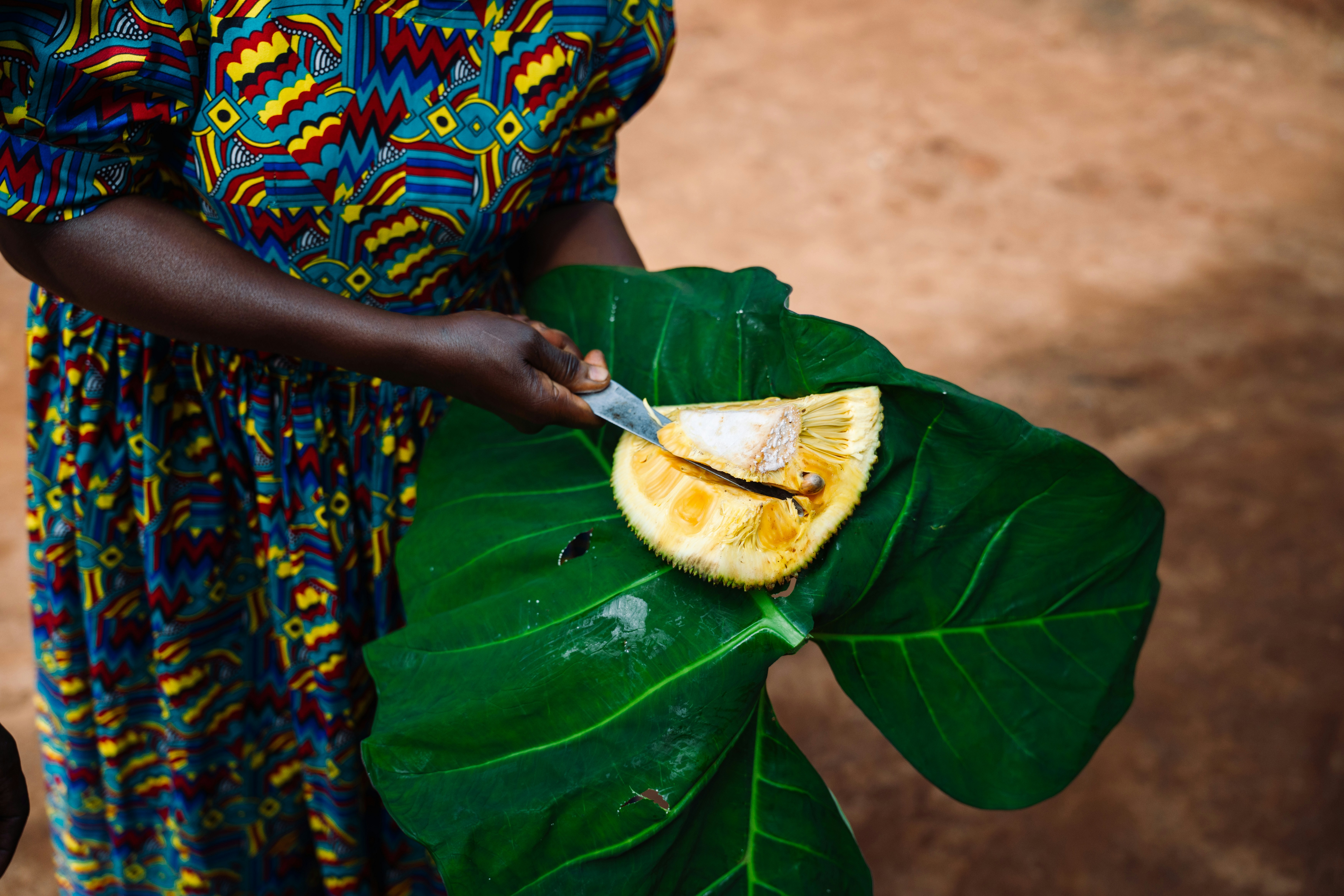 Brightly Colored Fabrics, Green Leaf, and a Slice of Fruit