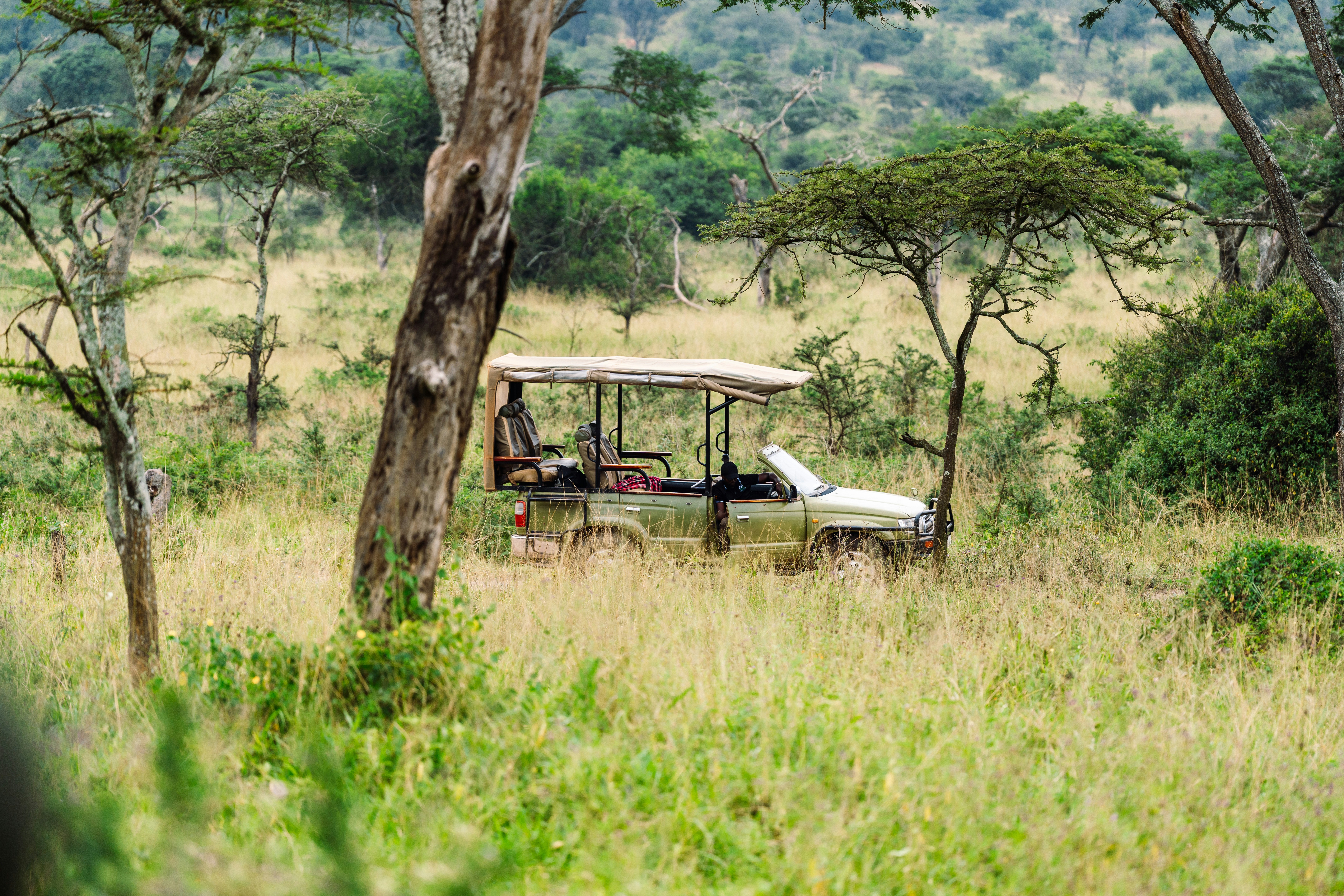 Safari Vehicle Rest Stop Amidsavanna Shade