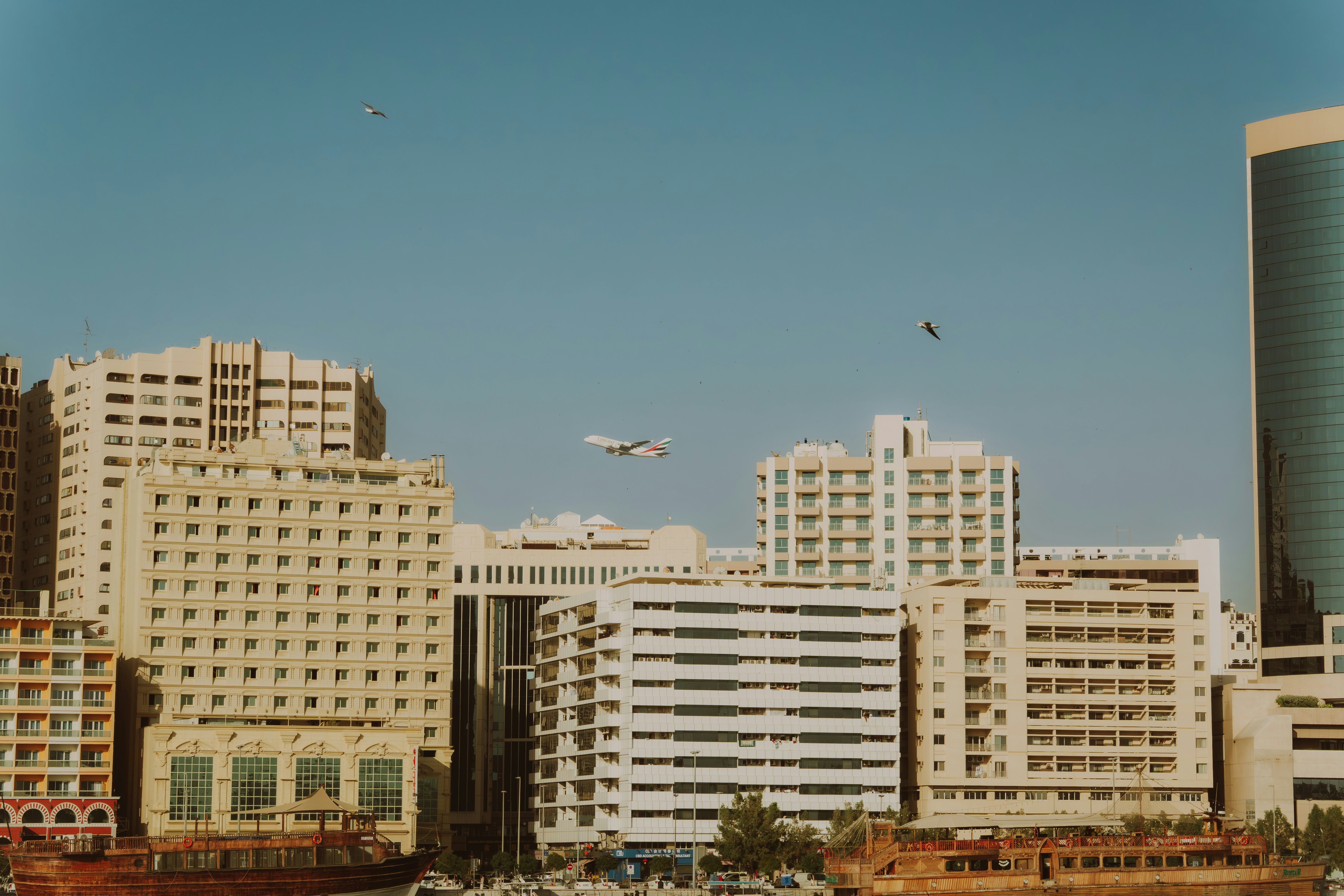 Midday cityscape: birds over a coastal skyline