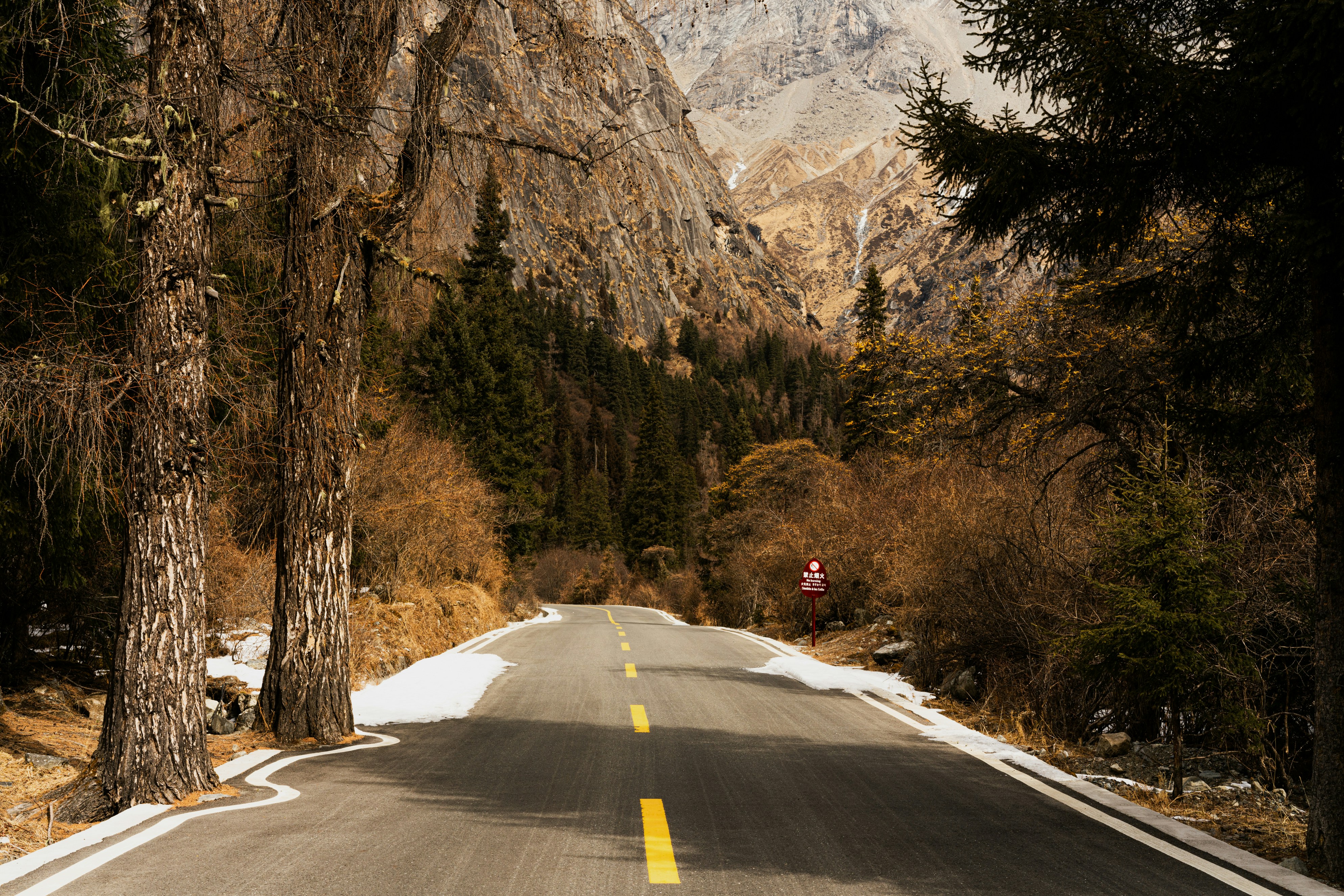 Mountain Road Vanishing into Autumn Light