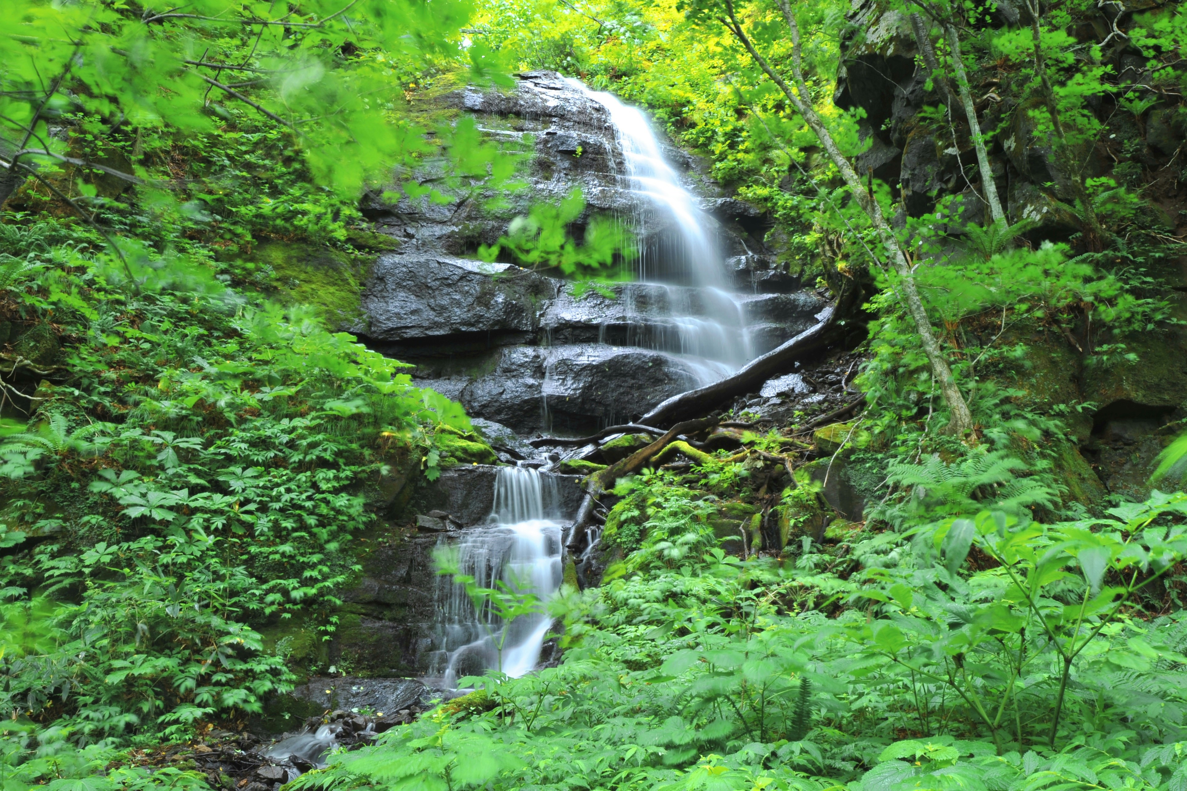 Green Veil Falls: Cascading Ribbon in a Lush Corridor