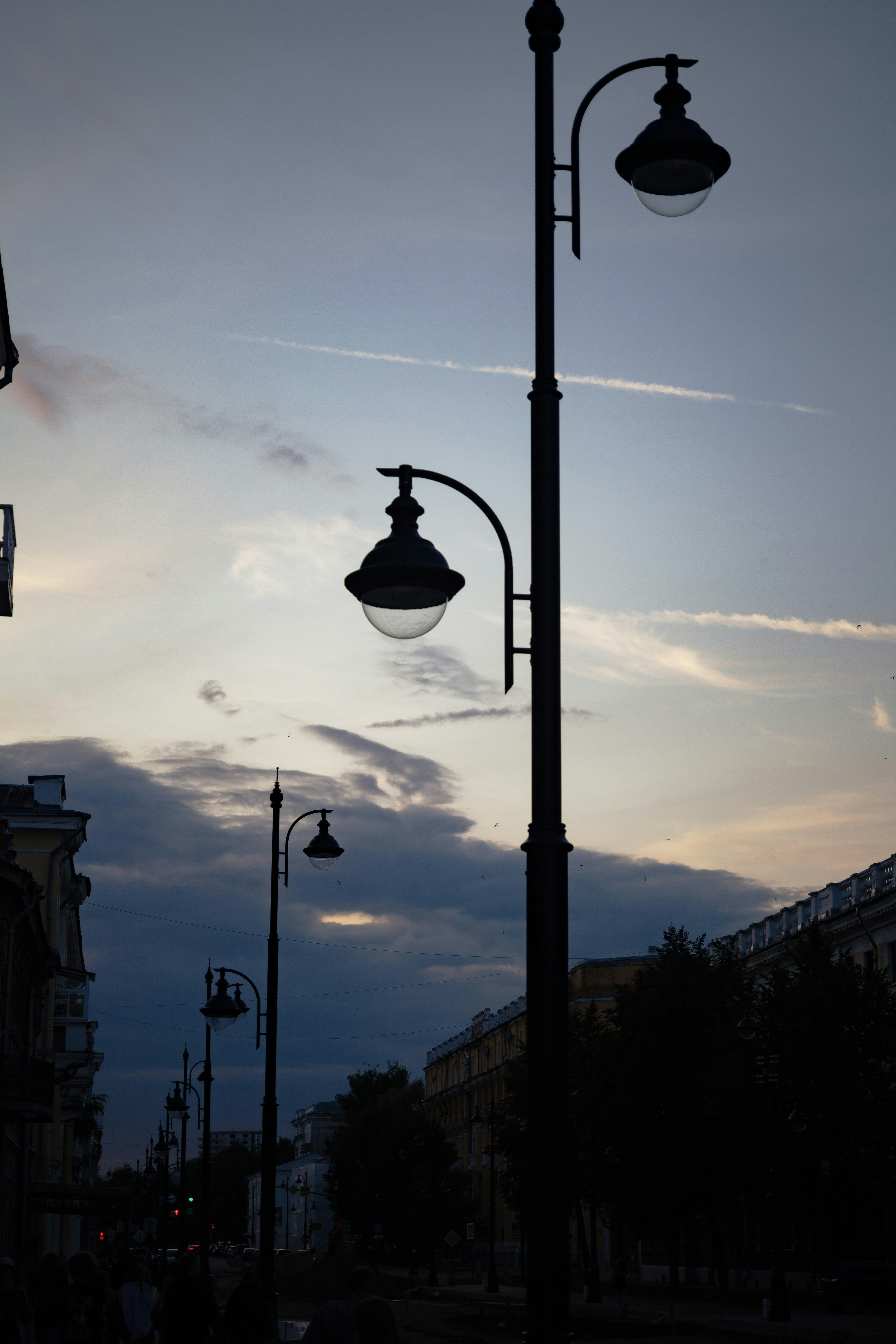 Slim street lamps line a fading street at dusk, their silhouettes etched against a purple-blue sky.
