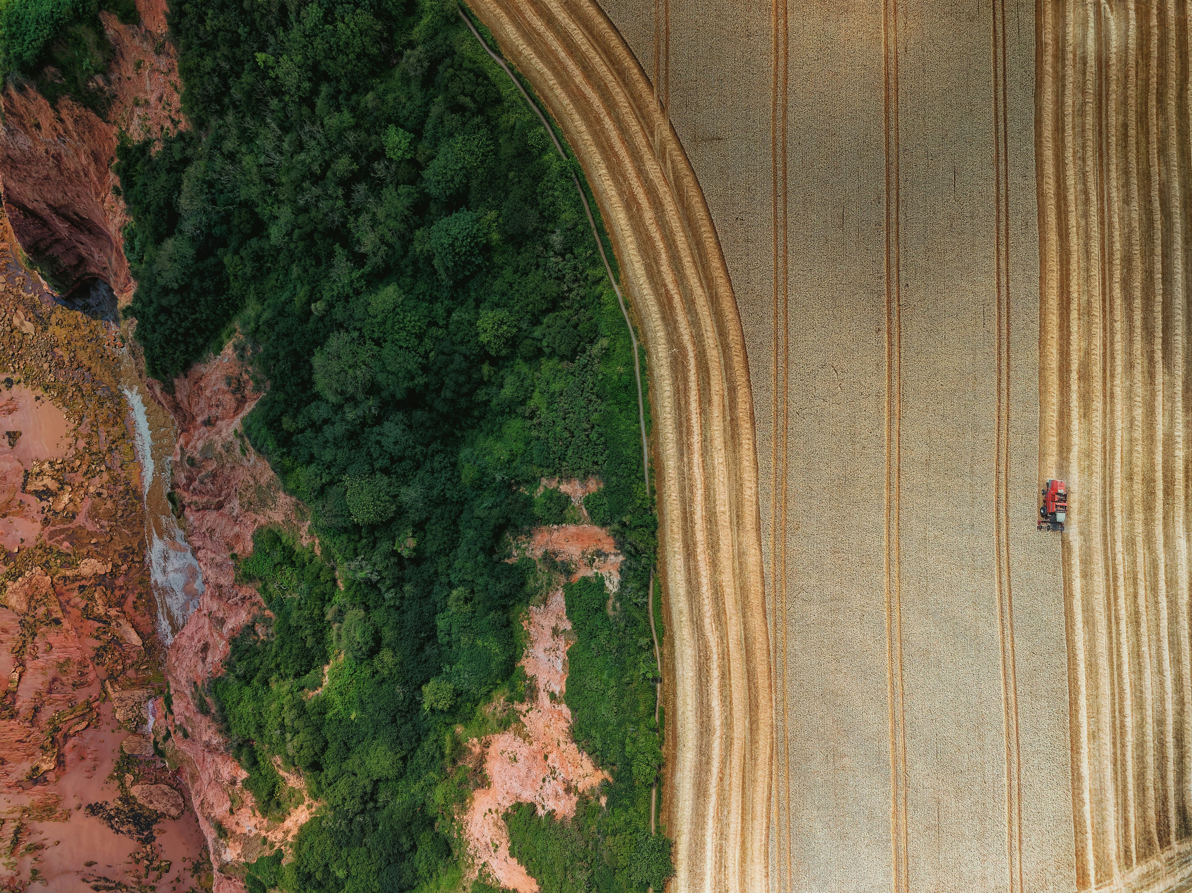 Terraced Harvest from Above: Curved Earth and Rowed Fields