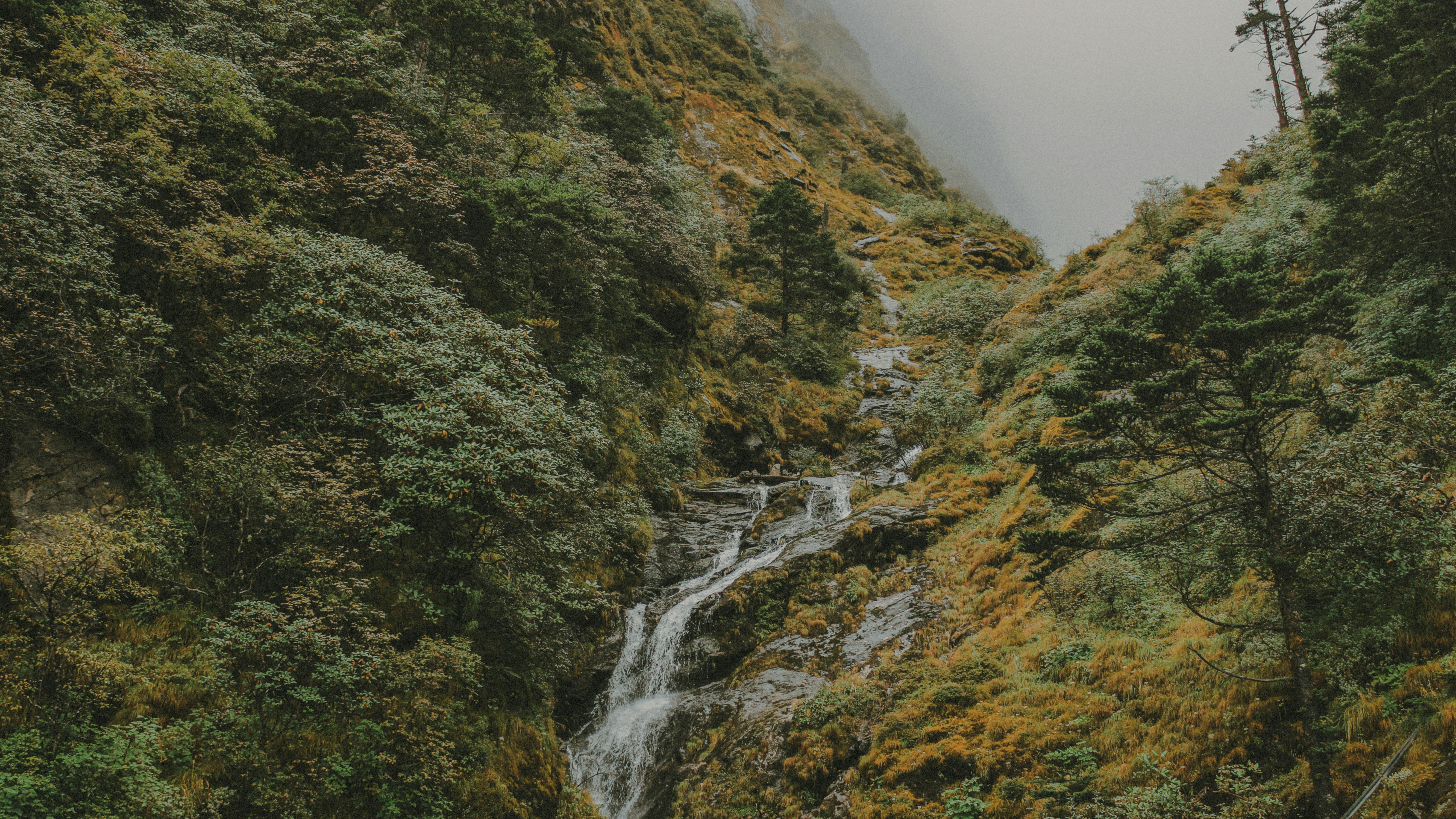 Whispering Cascade: Mossy Gorge Amid Misty Pines