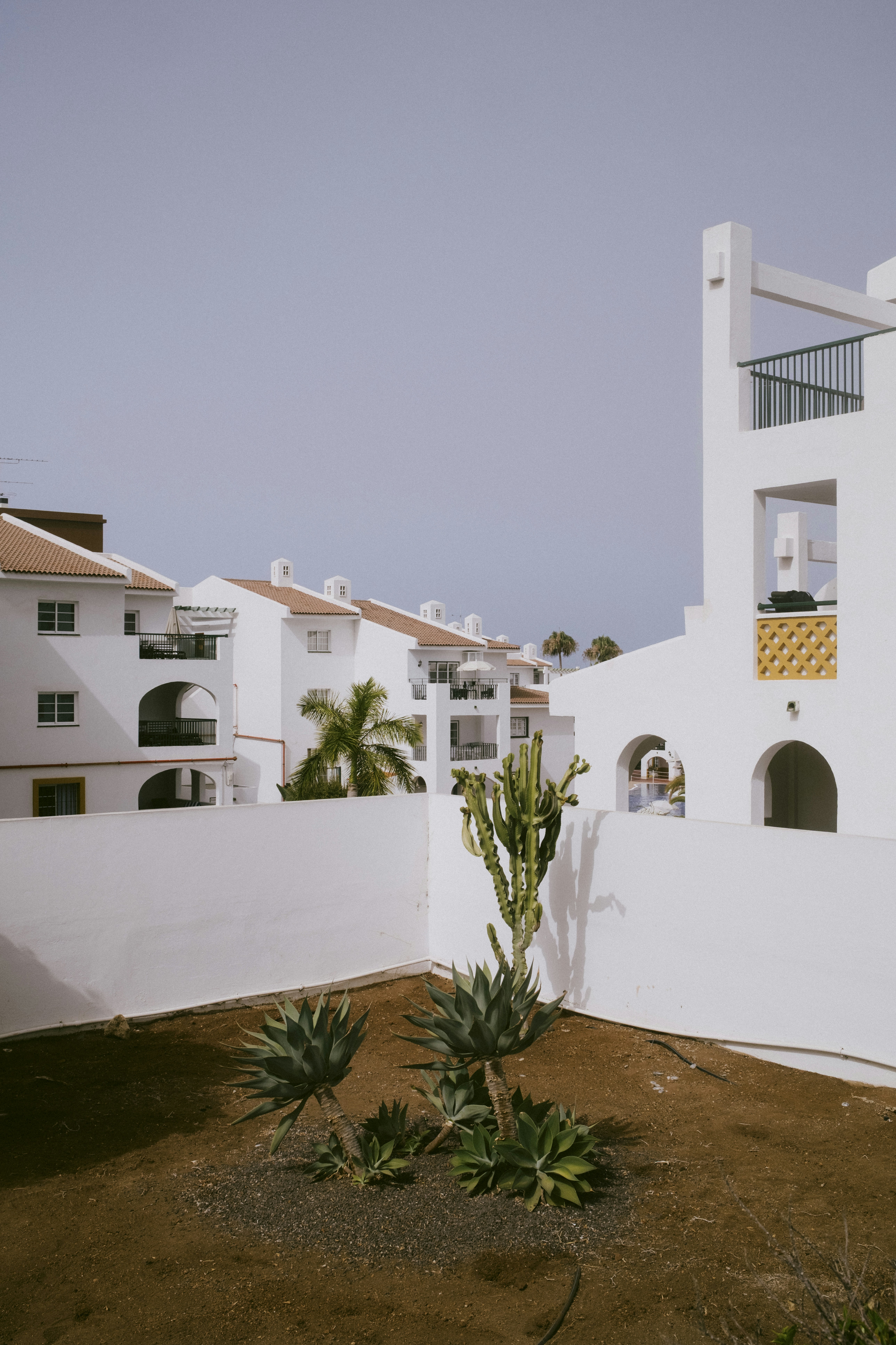 White Courtyard Oasis: A Sunlit Terrace Between Cerulean Skies