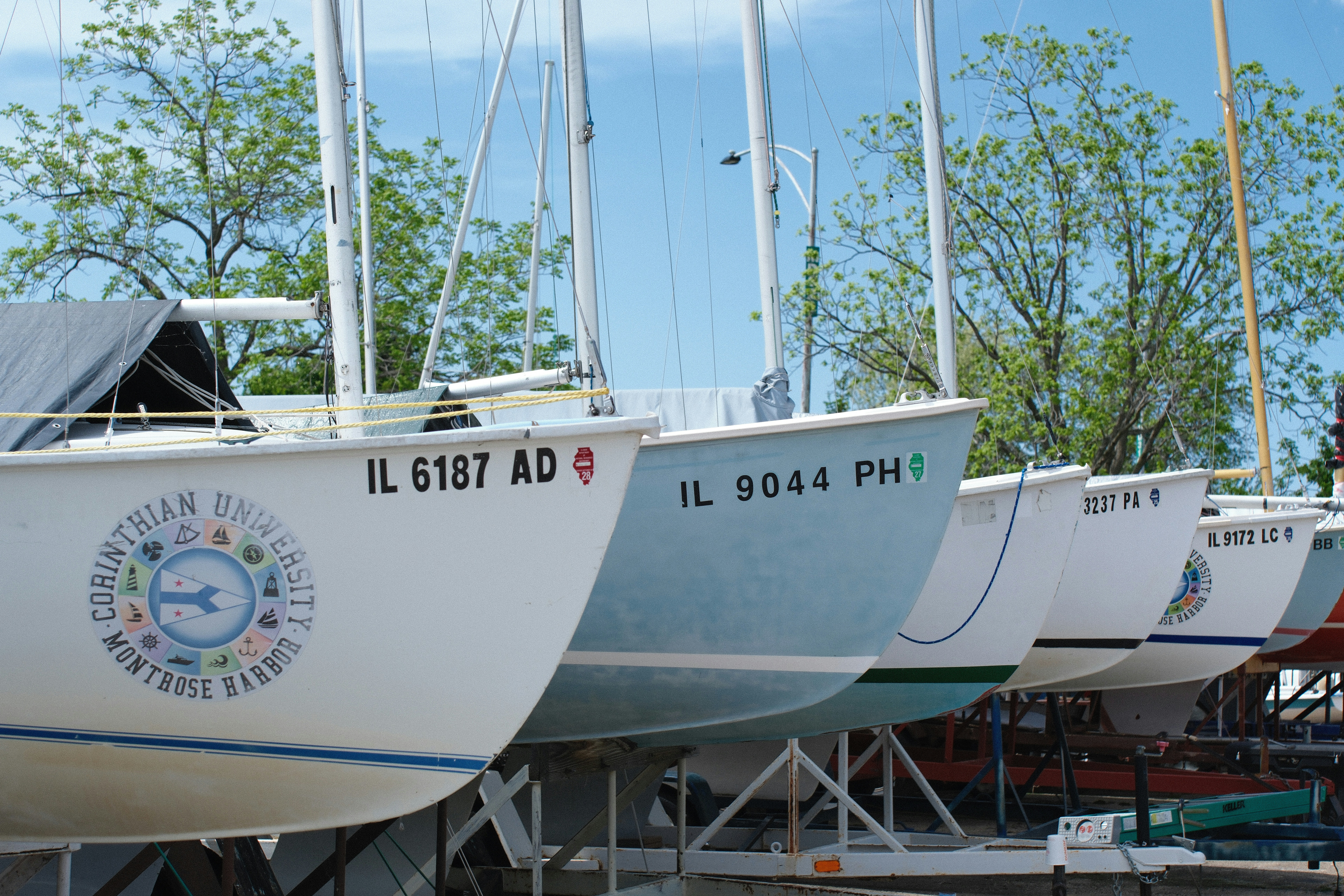 Row of docked sailboats at a sunny marina