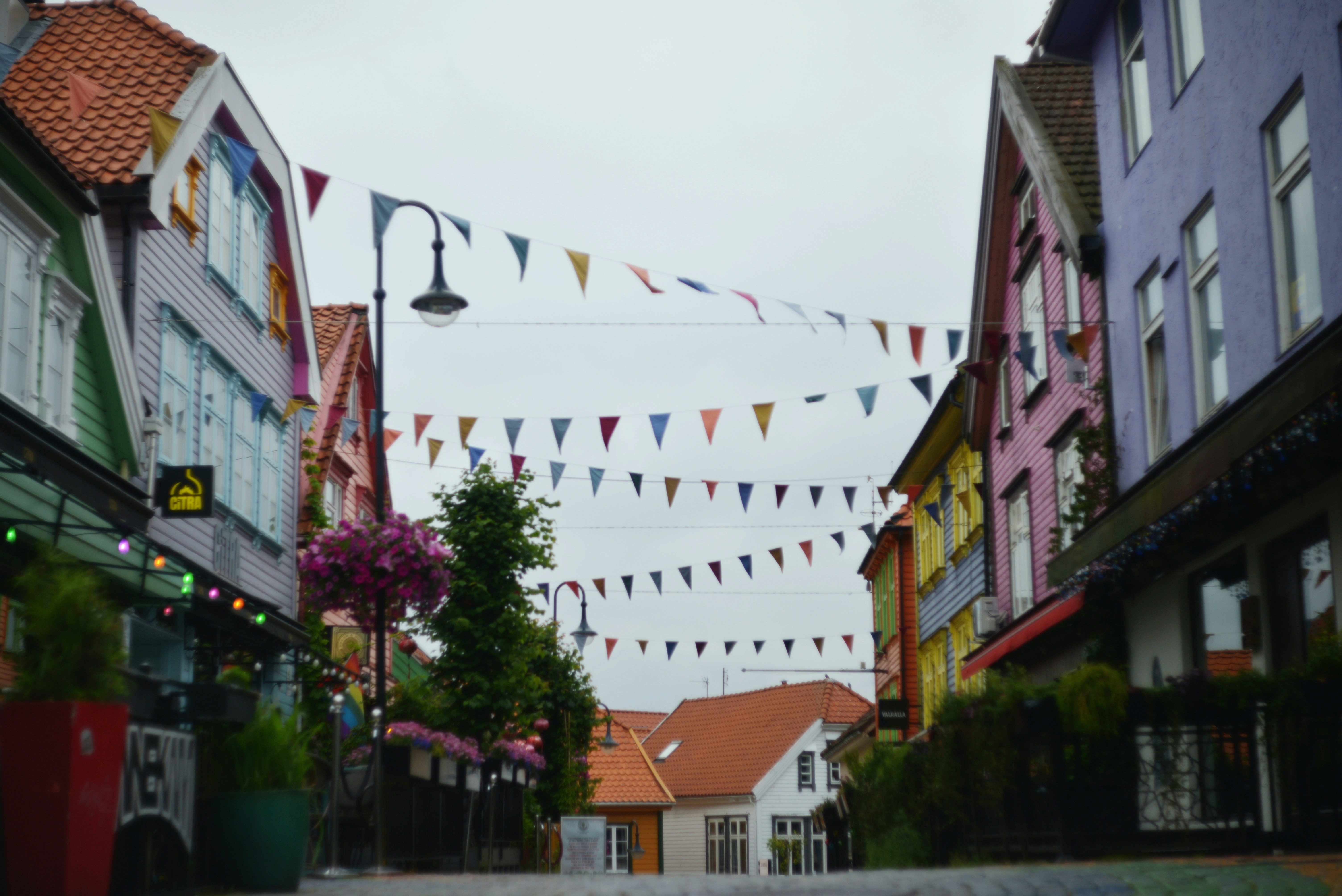 Flag-bedecked Street Toward a Quiet Town