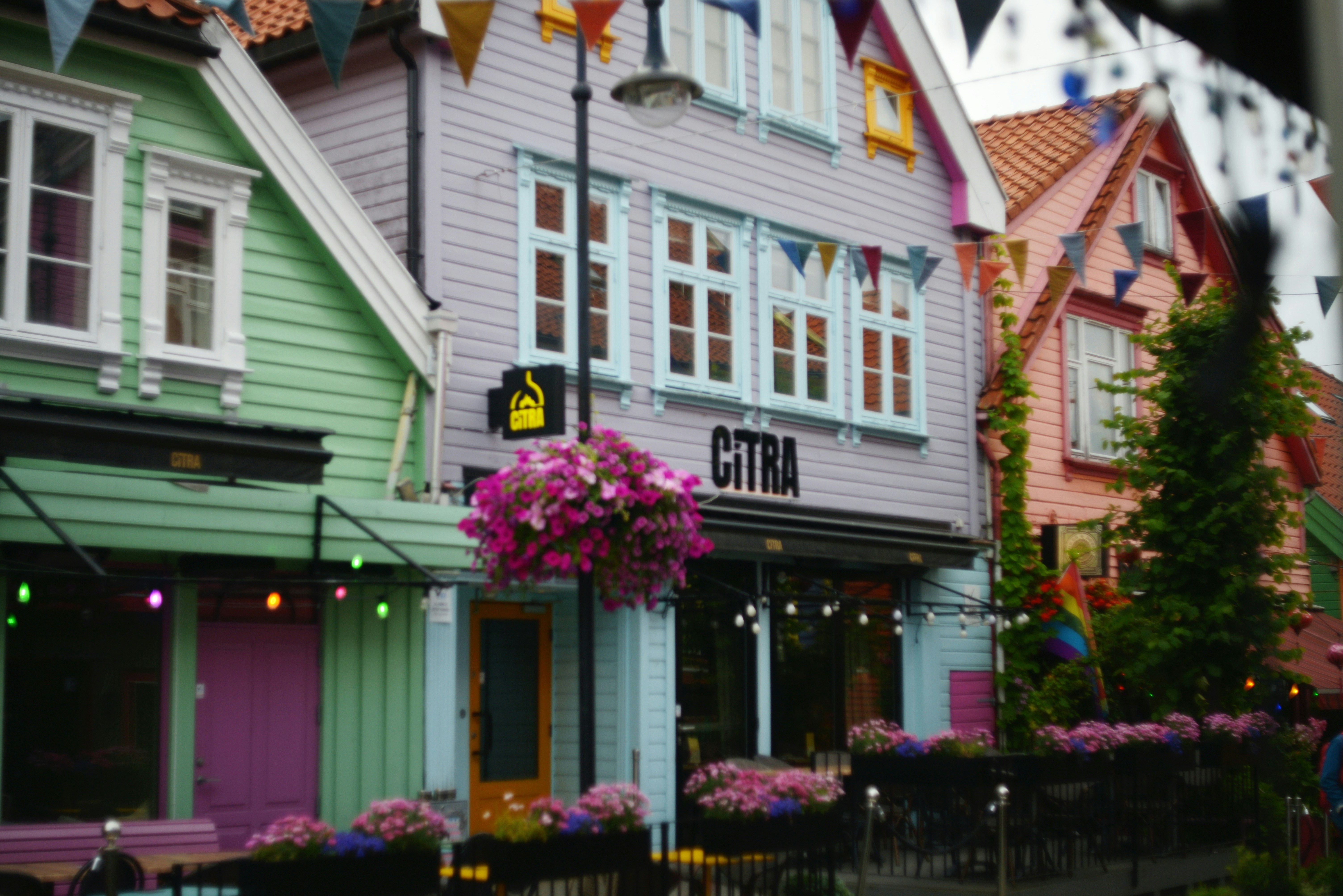 Colorful Row of Painted Cottages with Flower Baskets and Bunting