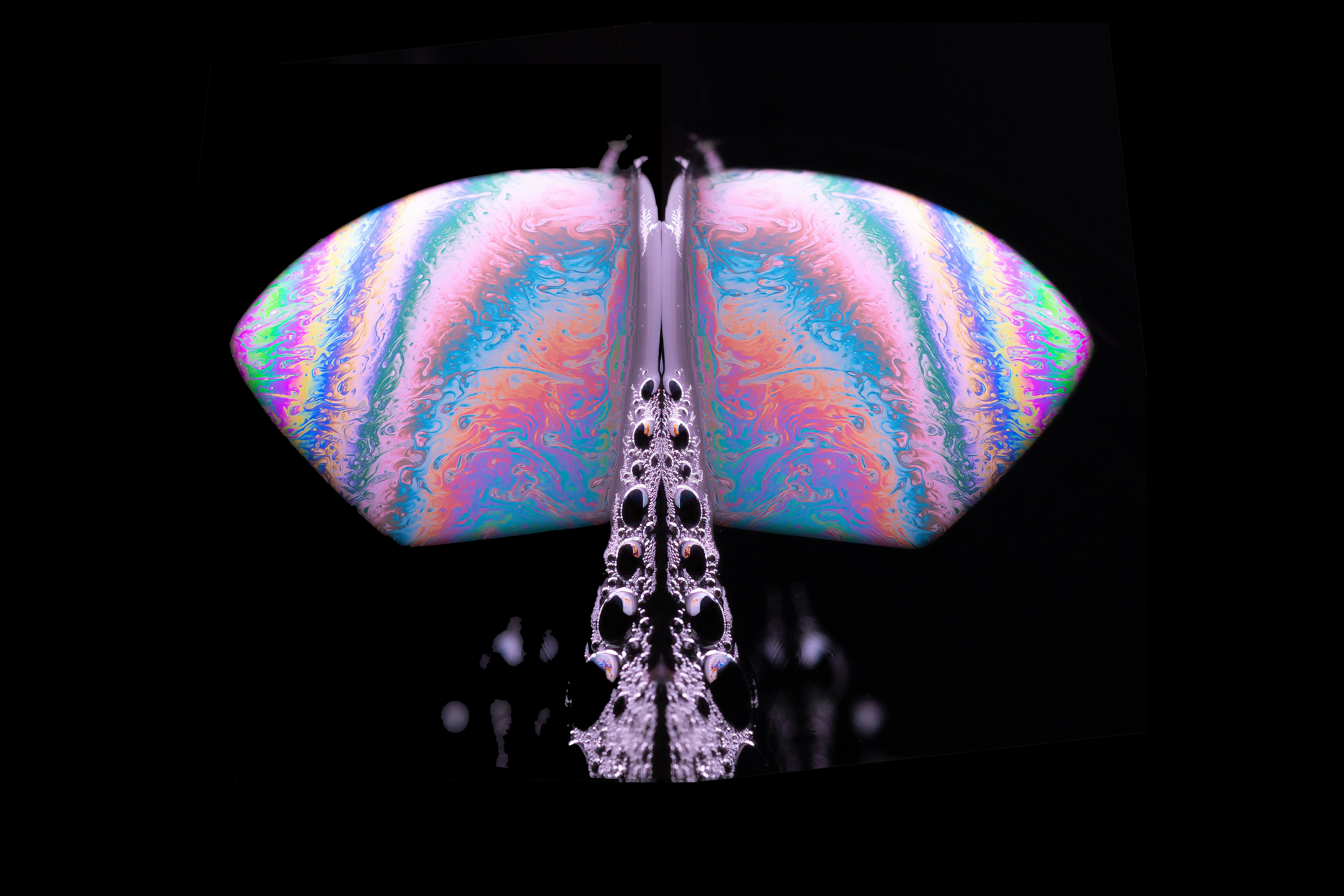 Iridescent Wings: A Butterfly's Symmetry in Neon Echoes