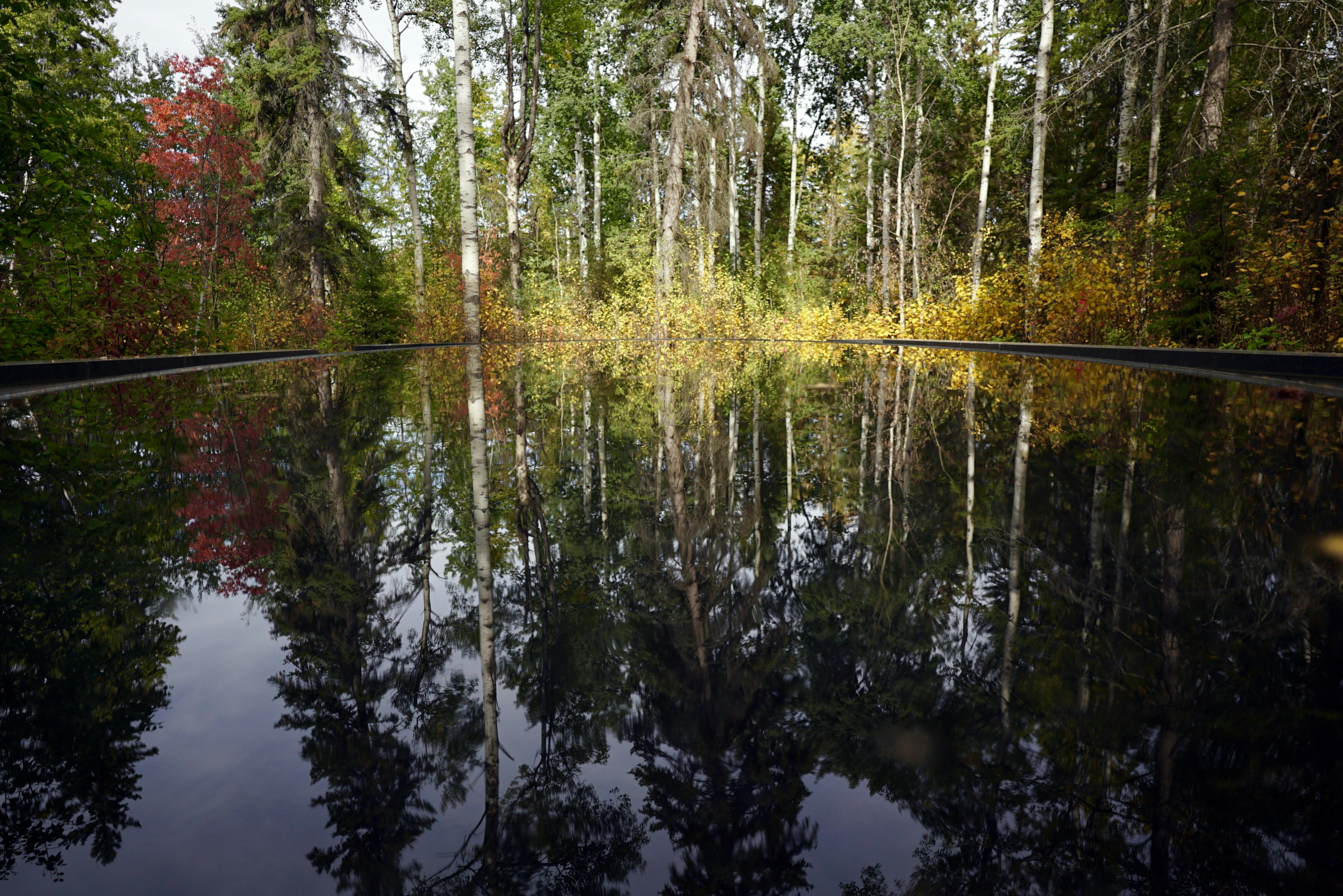 A tranquil forest scene reflected on a still water surface, capturing autumnal colors and vertical tree trunks. This appears as a photographic landscape with a natural mirror effect.