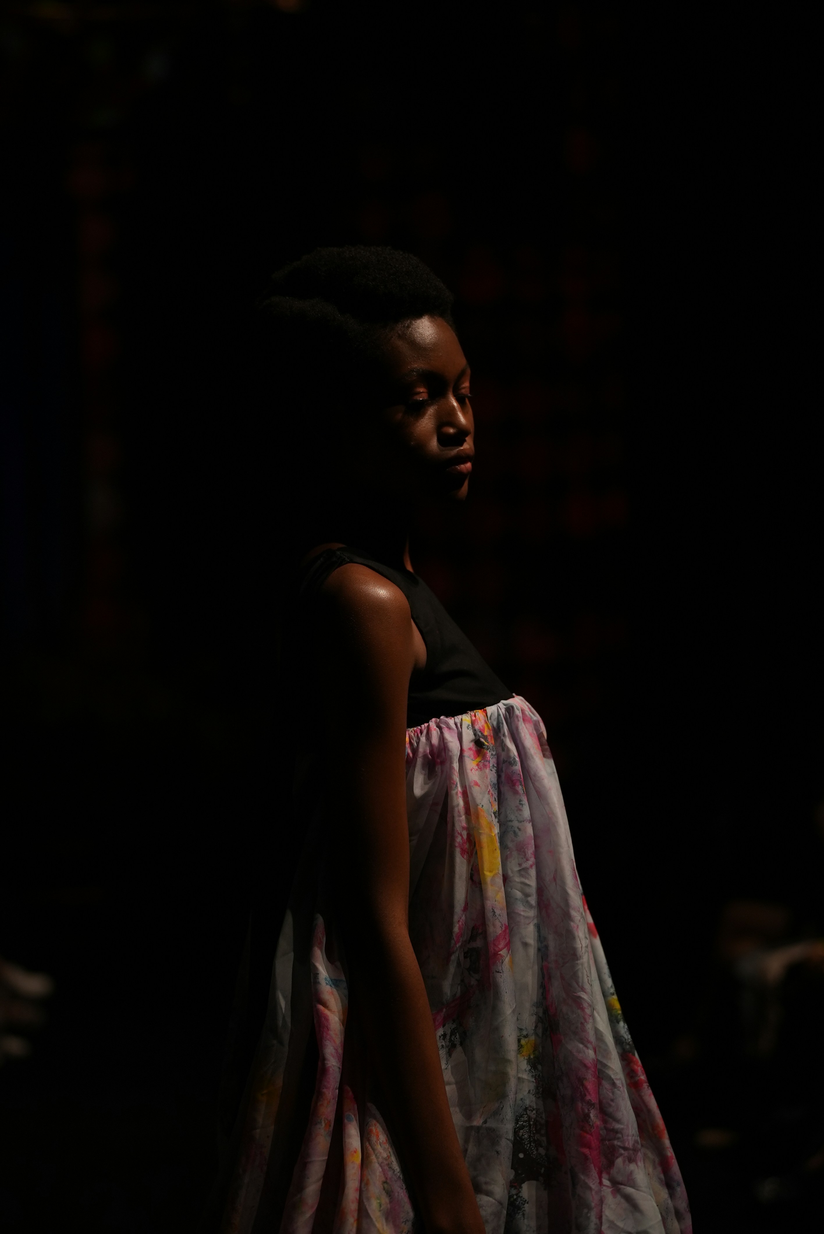 Solitary Poise in a Velvet Shadow