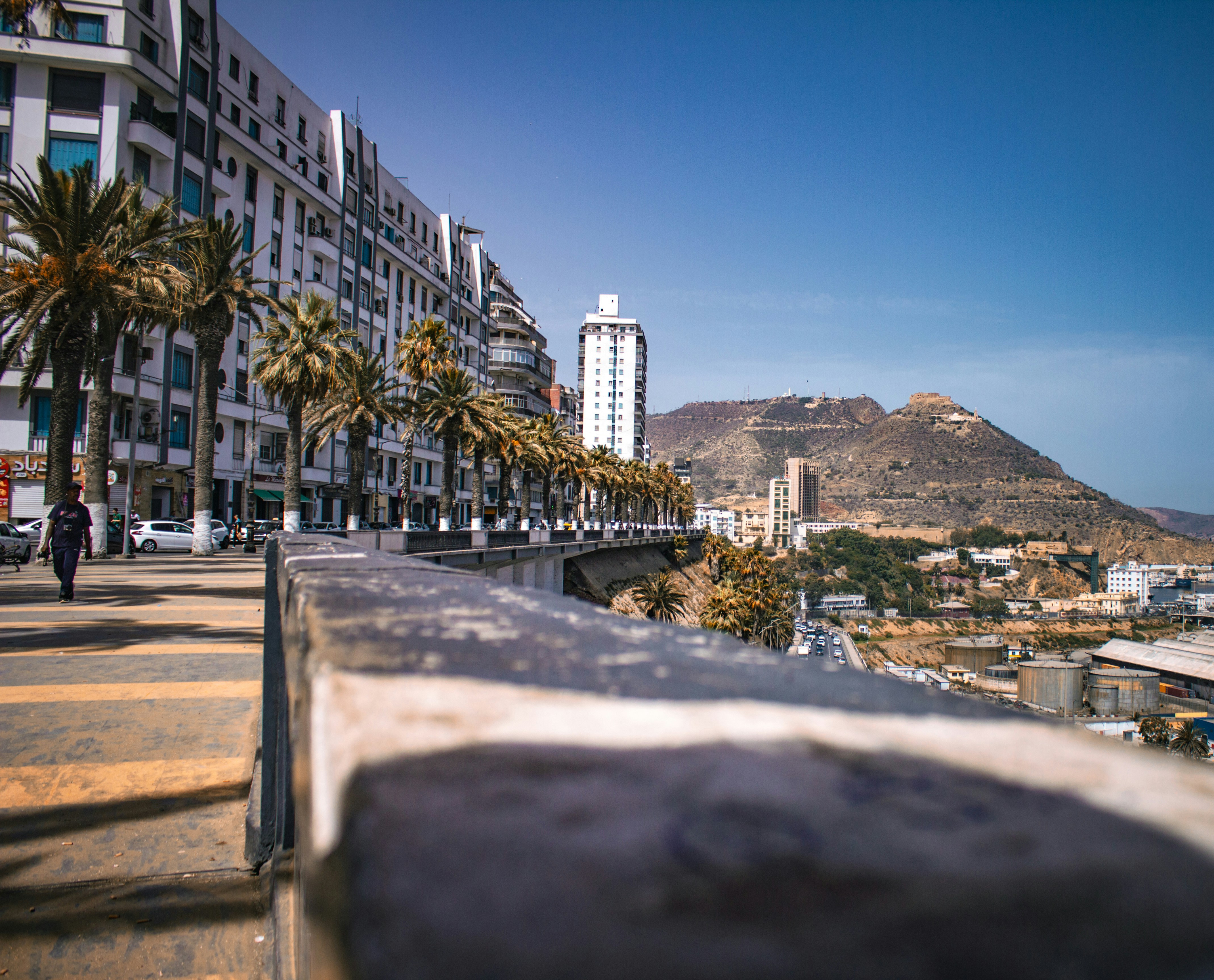 Palm-lined promenade along a coastal city with modern buildings and a distant hill; foreground railing and street extend toward the horizon, bathed in bright daylight. This photograph appears to be a cityscape with a maintenance path and water views.