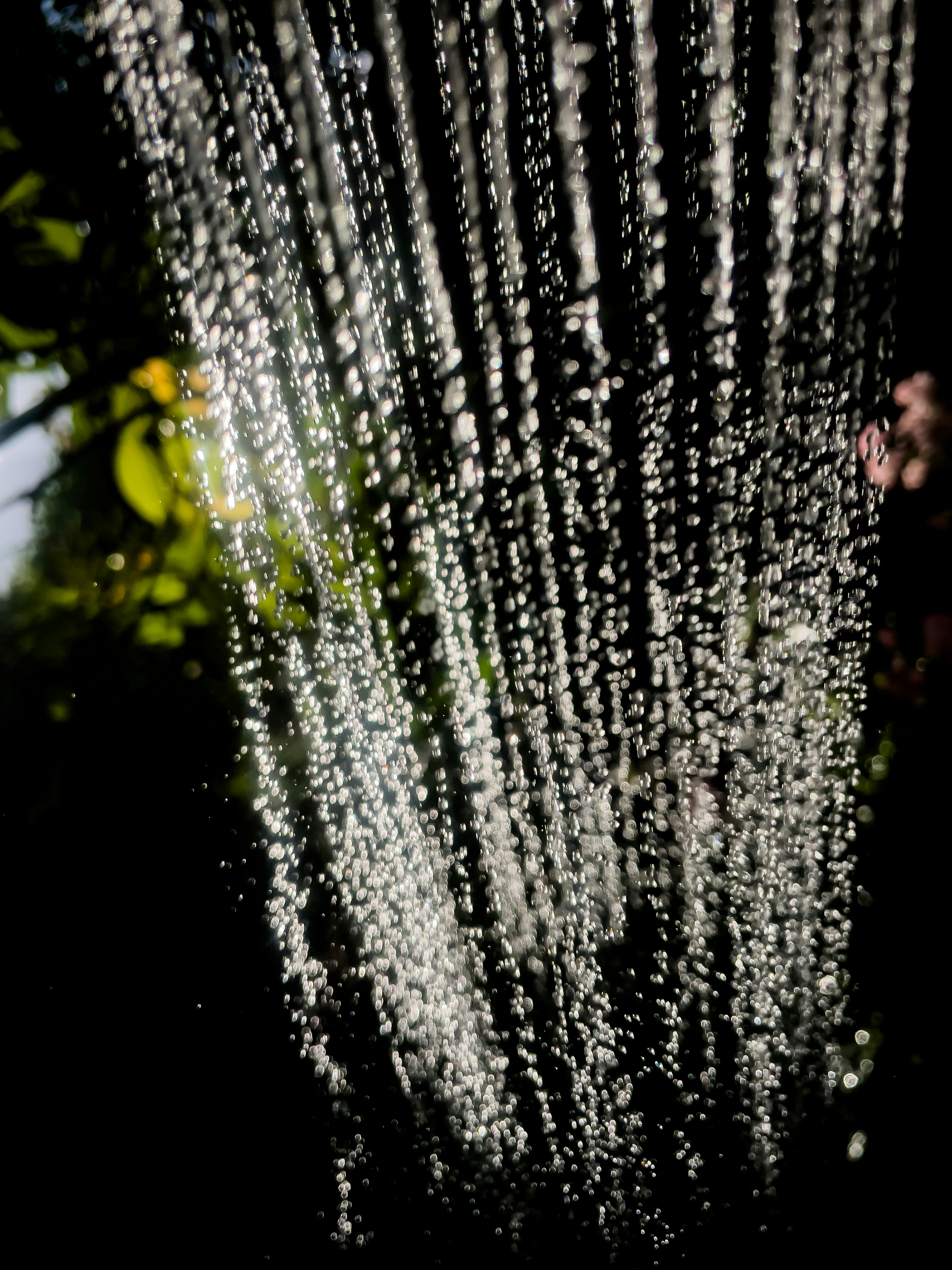 Ribbon of Rain: Water Drops in a Garden Shower