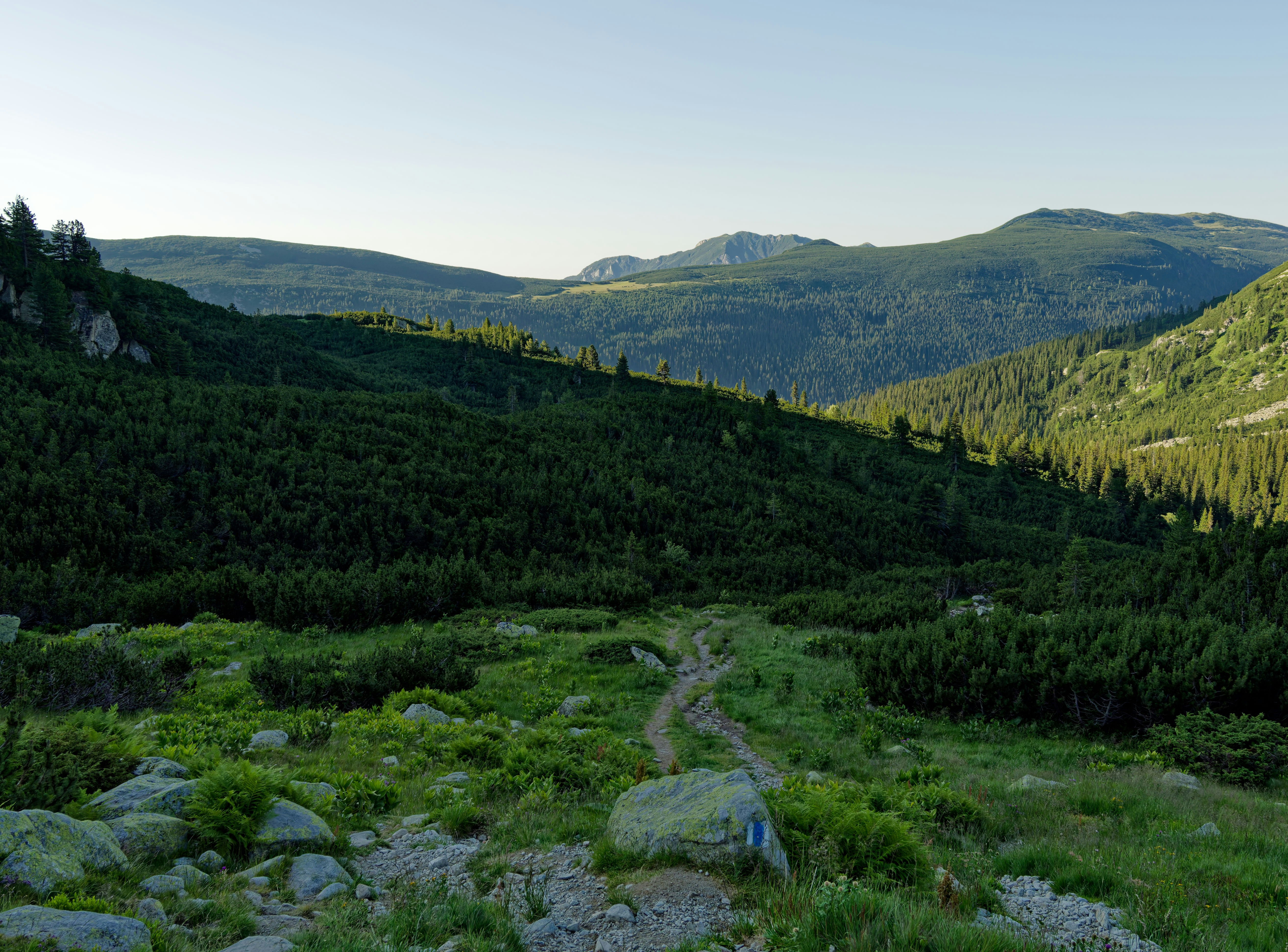A sunlit alpine valley with a rocky, grassy foreground leading to distant forested hills and a pale blue sky. The scene emphasizes depth and expansive landscape without any human elements; a natural, expansive valley vista.